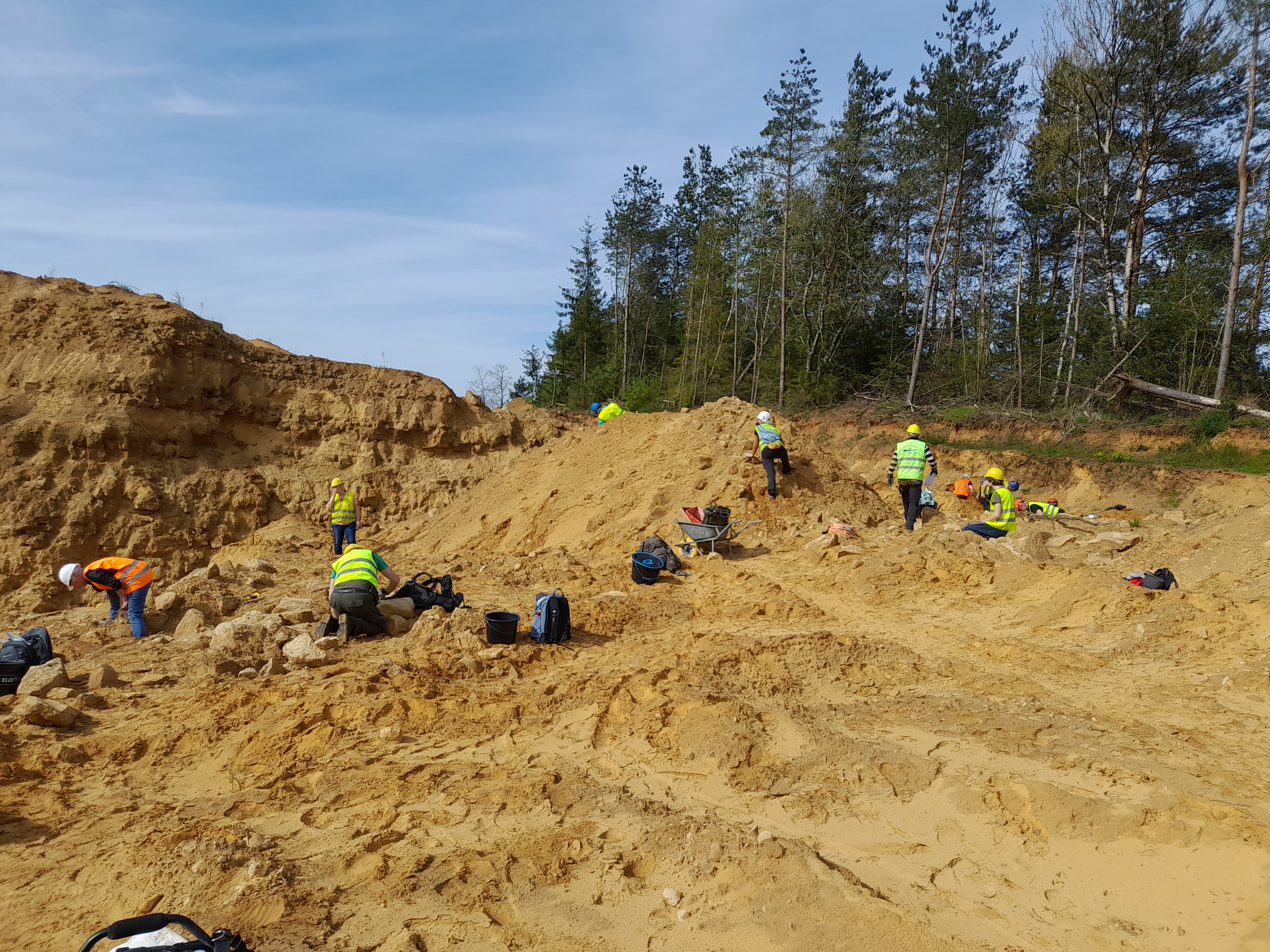 Fossil hunting weekend to the Jurassic of Luxembourg (BE & LUX ...