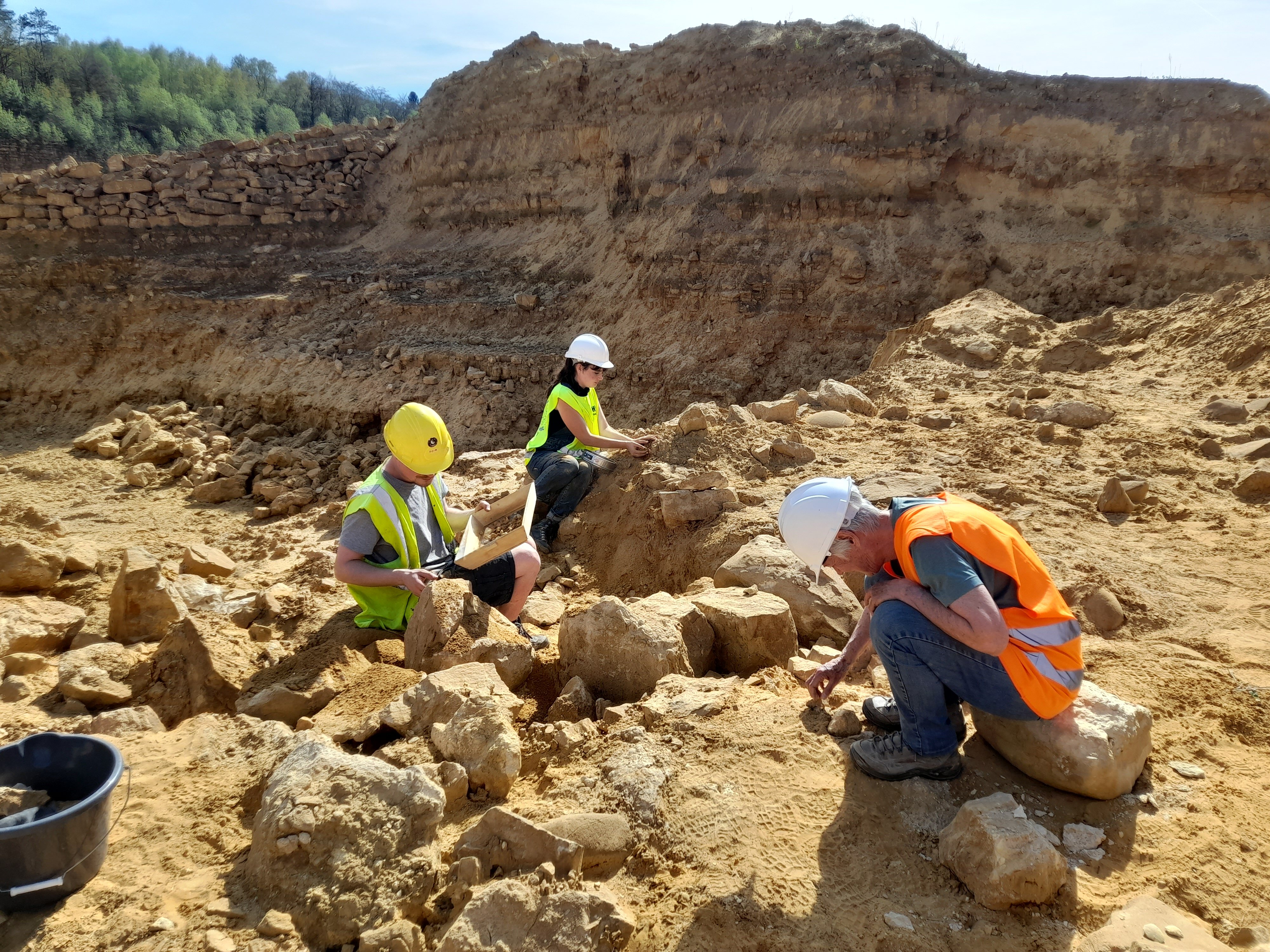 Fossil hunting weekend to the Jurassic of Luxembourg (BE & LUX ...
