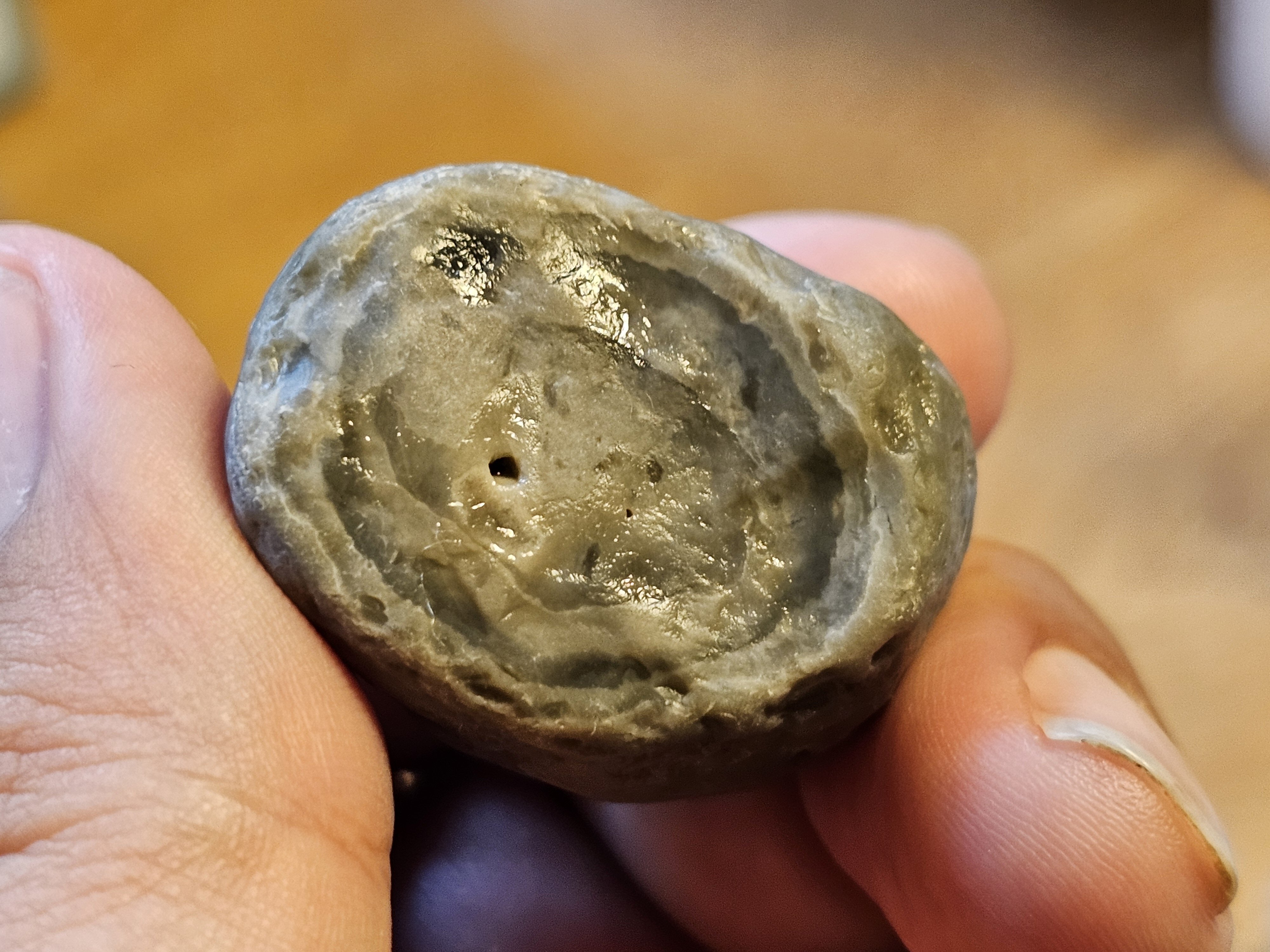 Cylindrical, silicified fossil - Possibly Ramose form Stromatoporiod ...