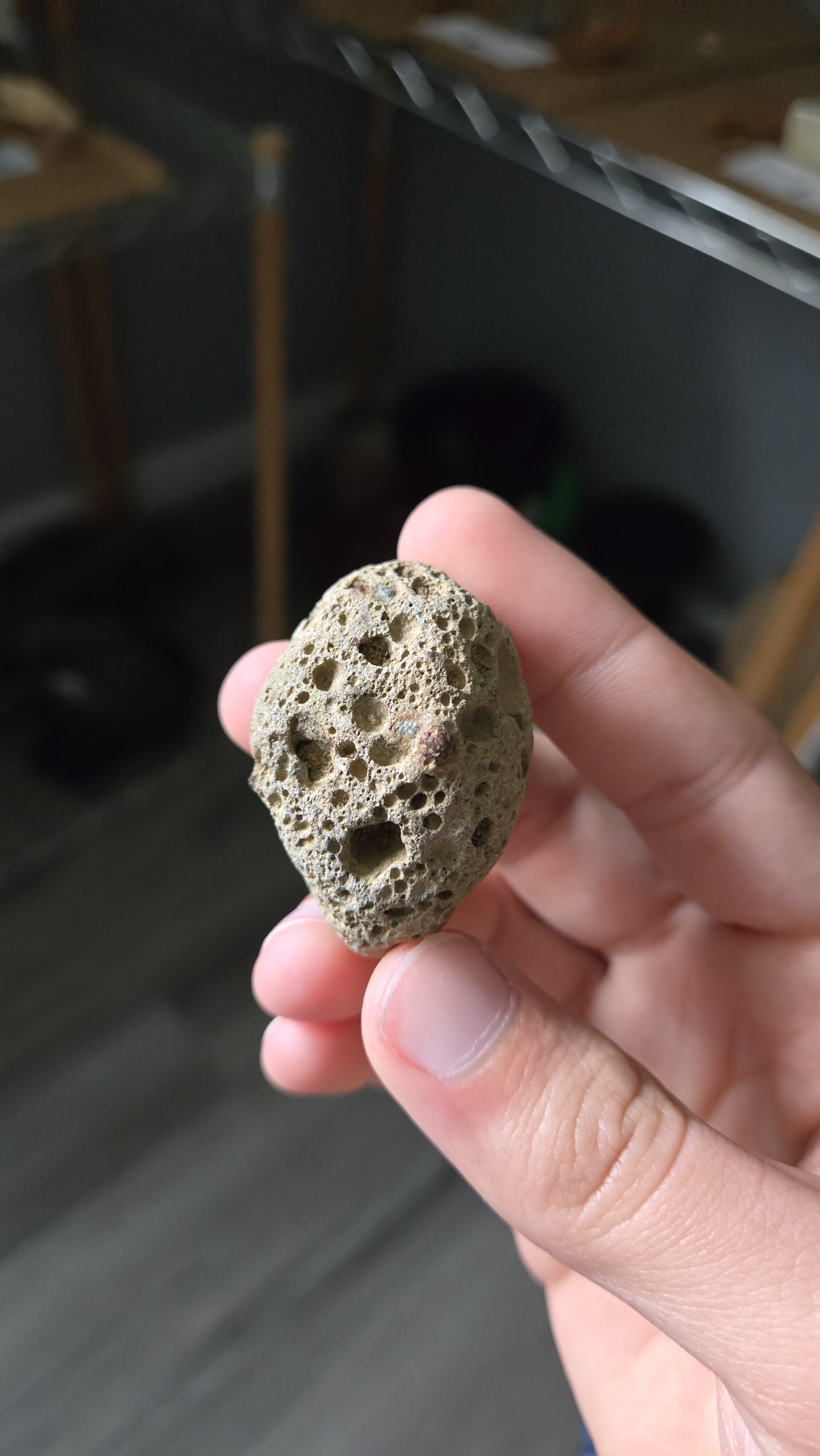 Pumice? - Rocks & Minerals - The Fossil Forum