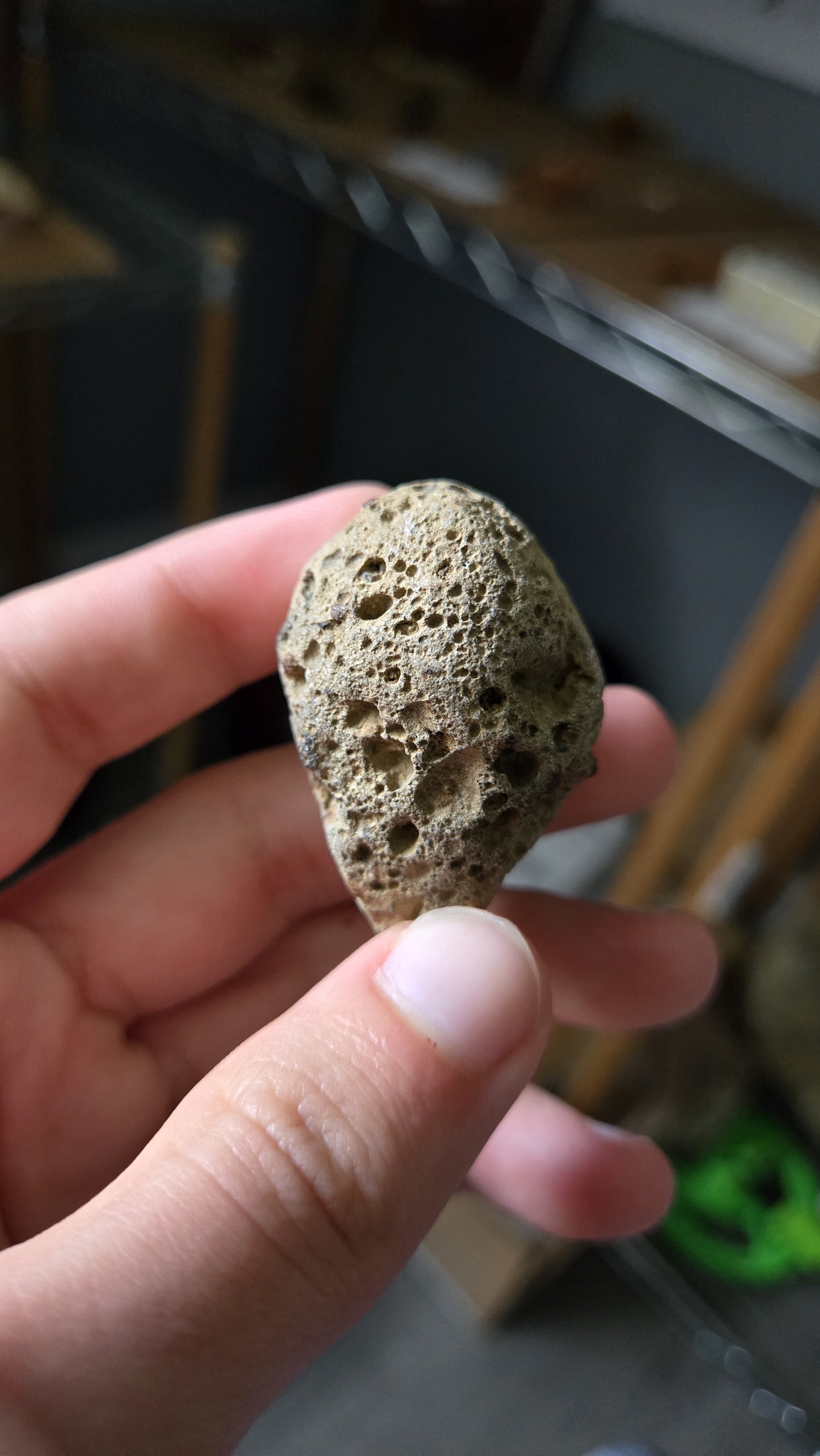 Pumice? - Rocks & Minerals - The Fossil Forum
