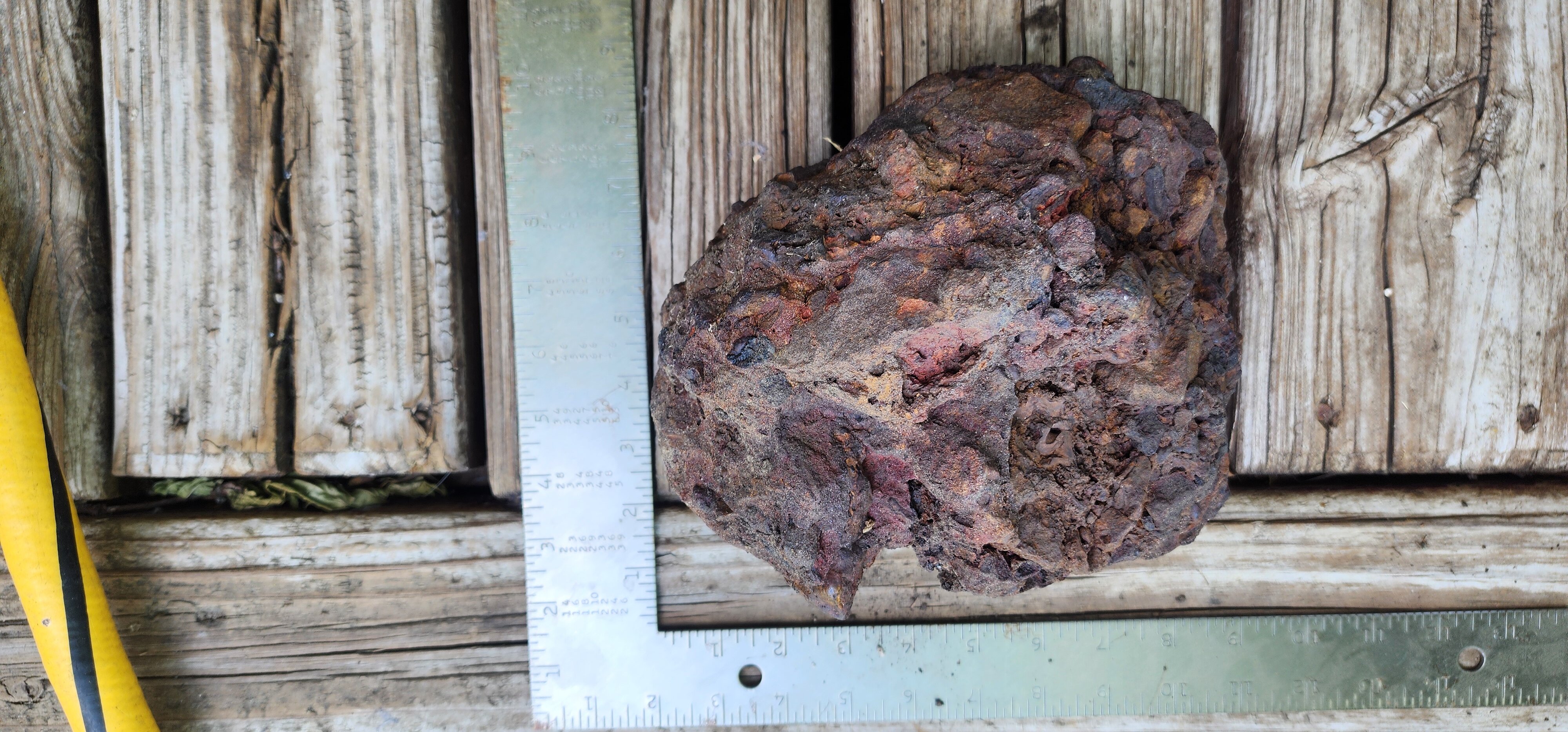 Coprolite? - Fossil ID - The Fossil Forum