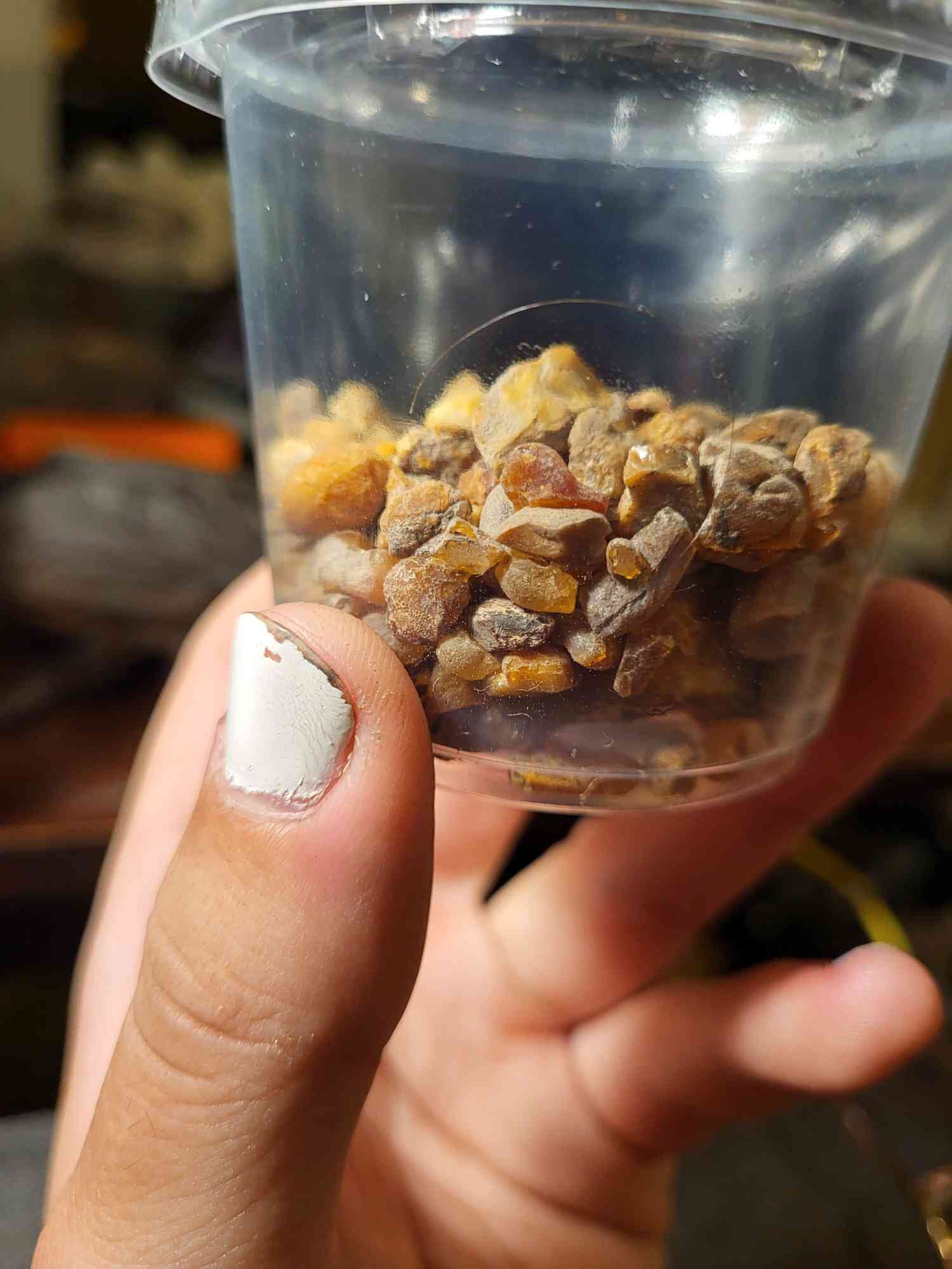 Some NJ Amber... - General Fossil Discussion - The Fossil Forum
