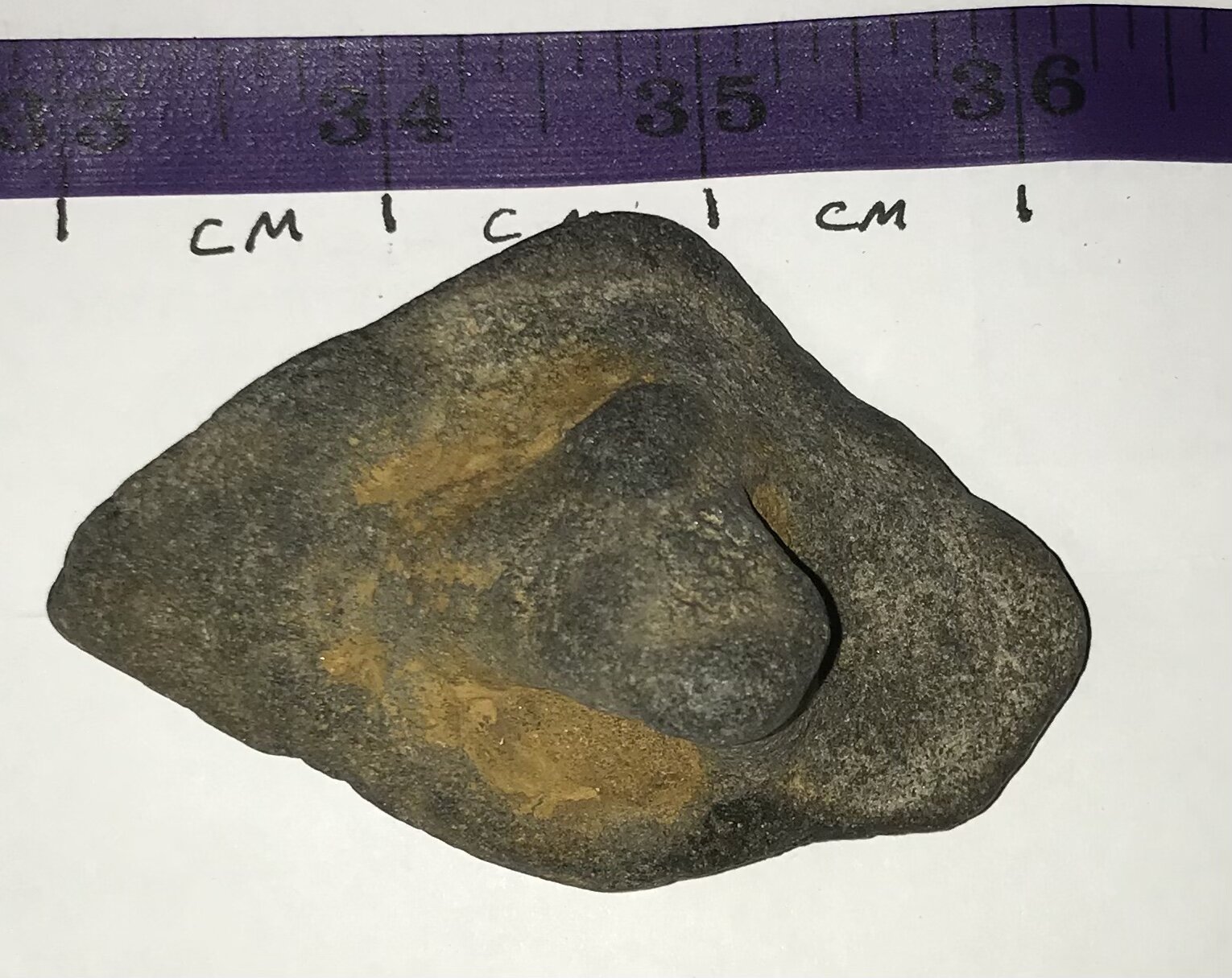 fossil or suggestively shaped rock? - Fossil ID - The Fossil Forum
