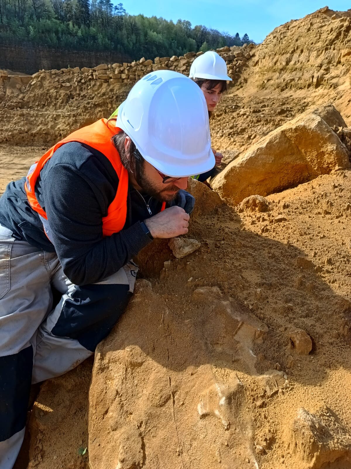 Fossil hunting weekend to the Jurassic of Luxembourg (BE & LUX ...