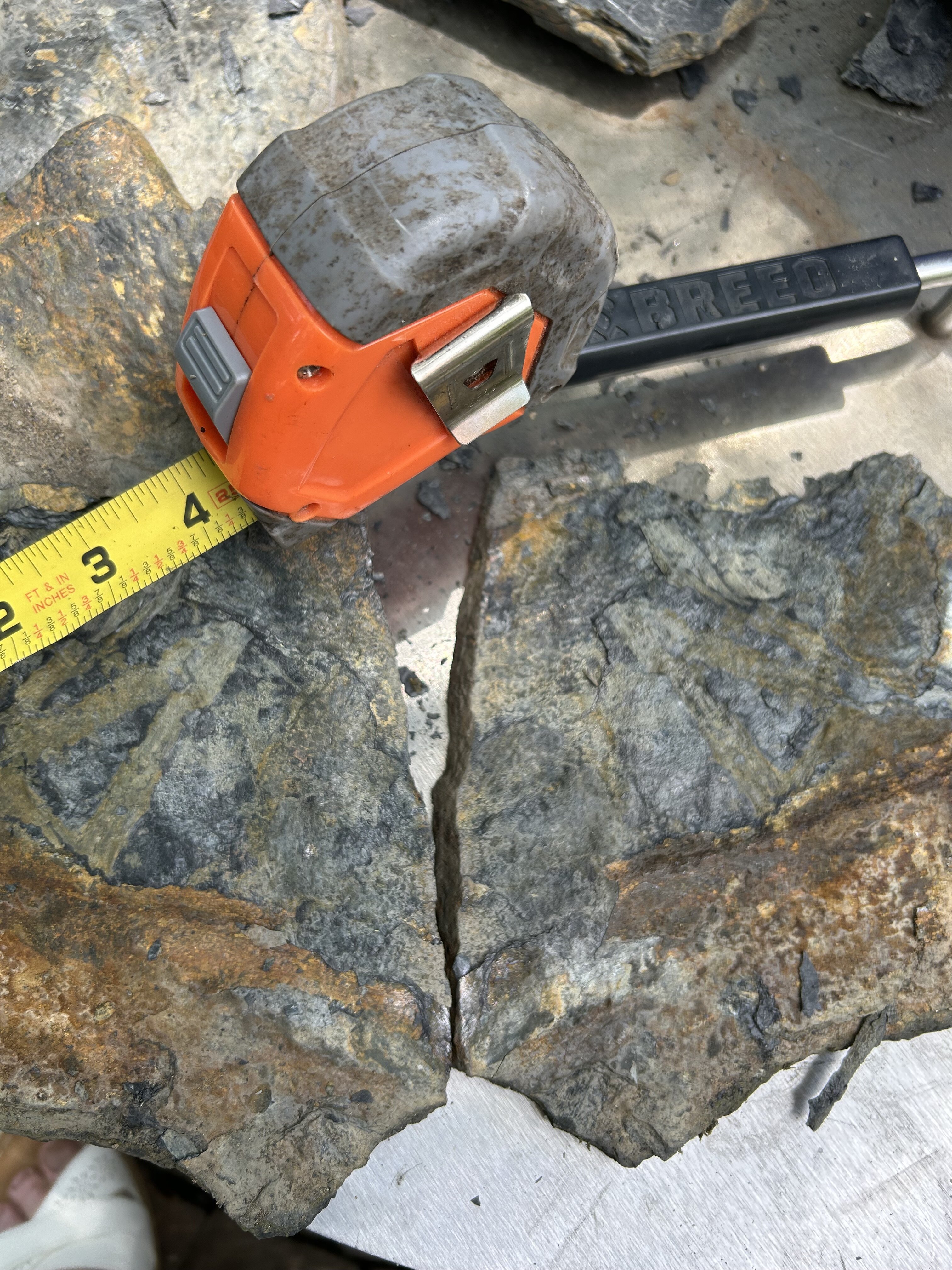 Triangles in Anthracite shale - Fossil ID - The Fossil Forum