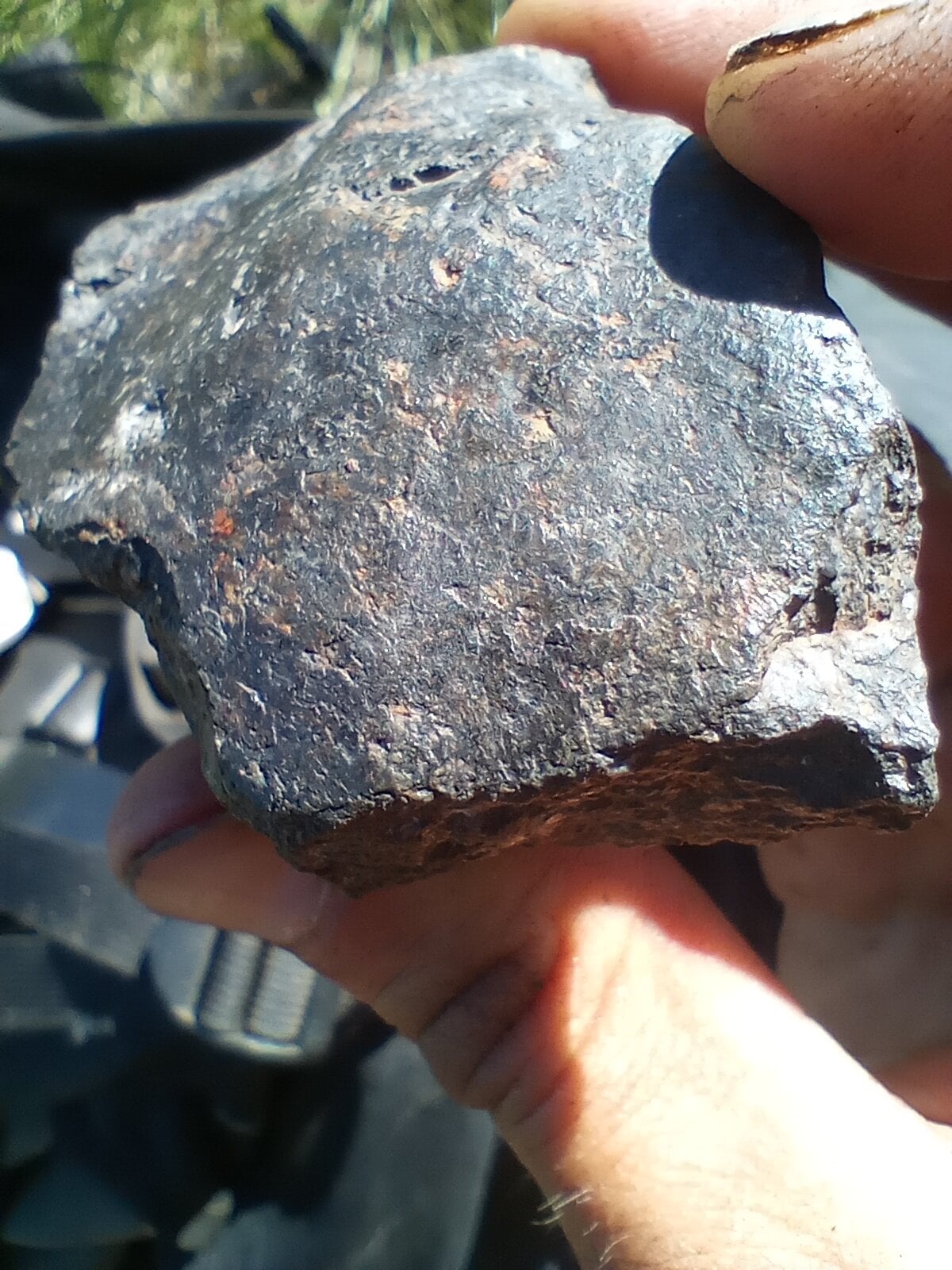 Very heavy tooth shaped rock - Fossil ID - The Fossil Forum