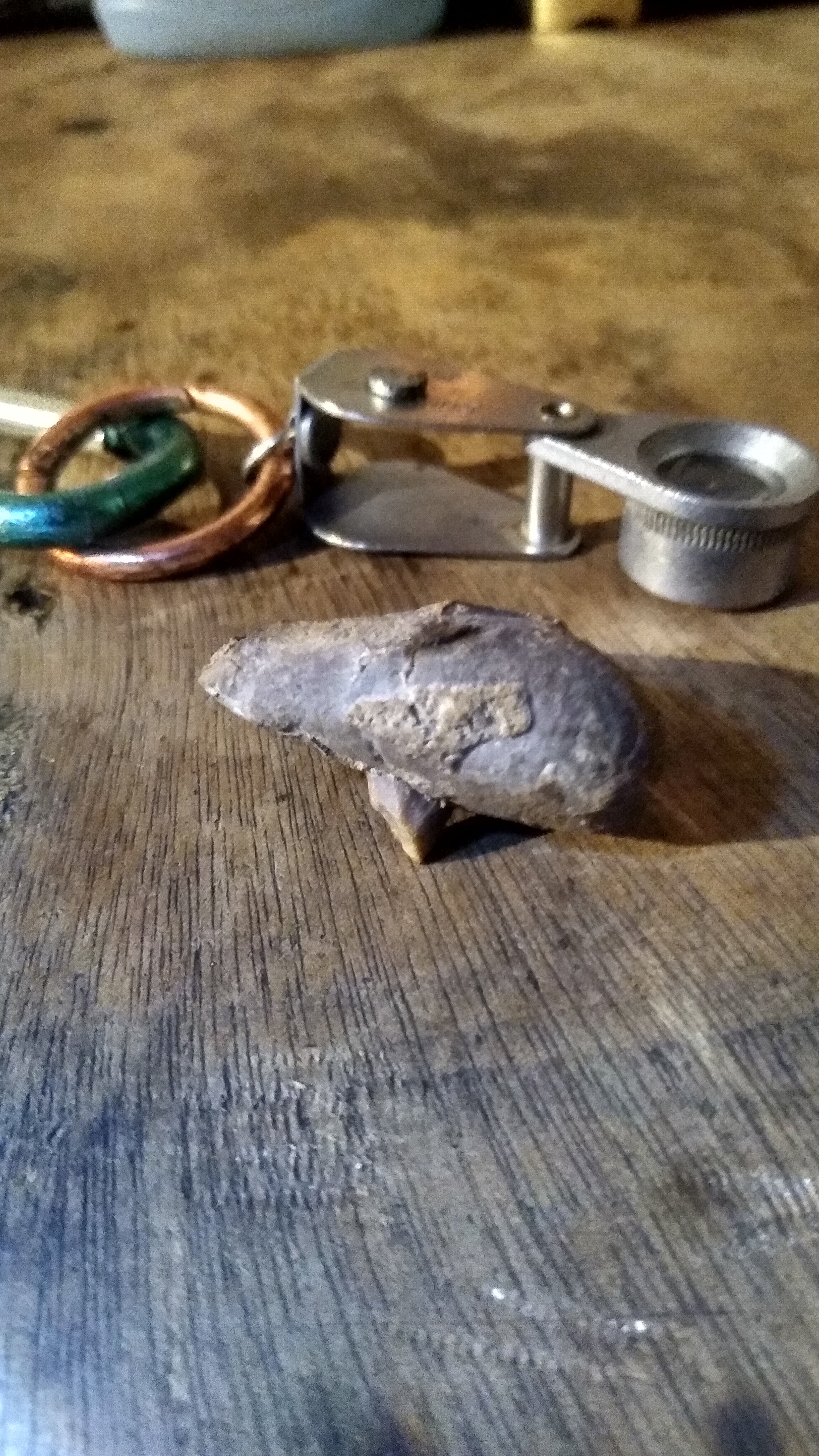 Identification if any - Fossil ID - The Fossil Forum