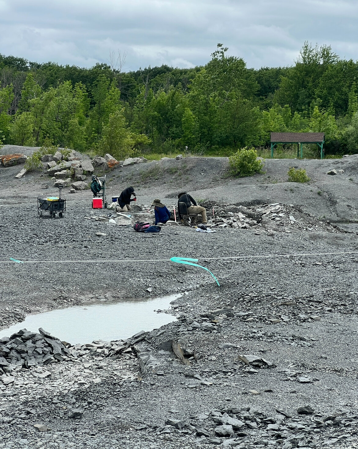 Penn Dixie Dig with the Experts 2024 - Fossil Hunting Trips - The ...