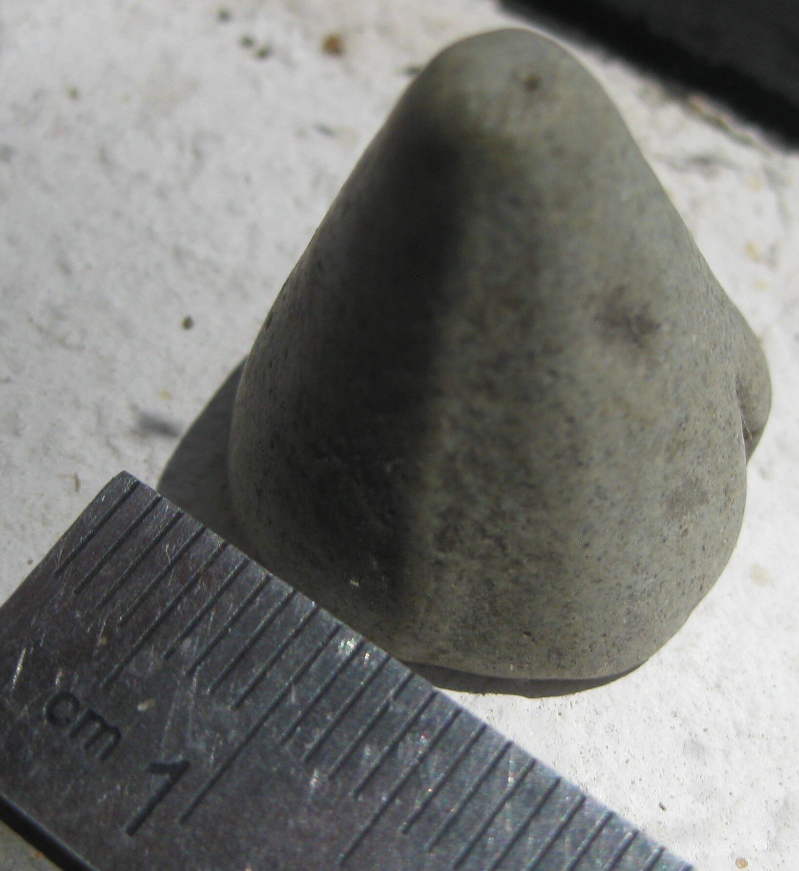 Cone shaped - Fossil ID - The Fossil Forum