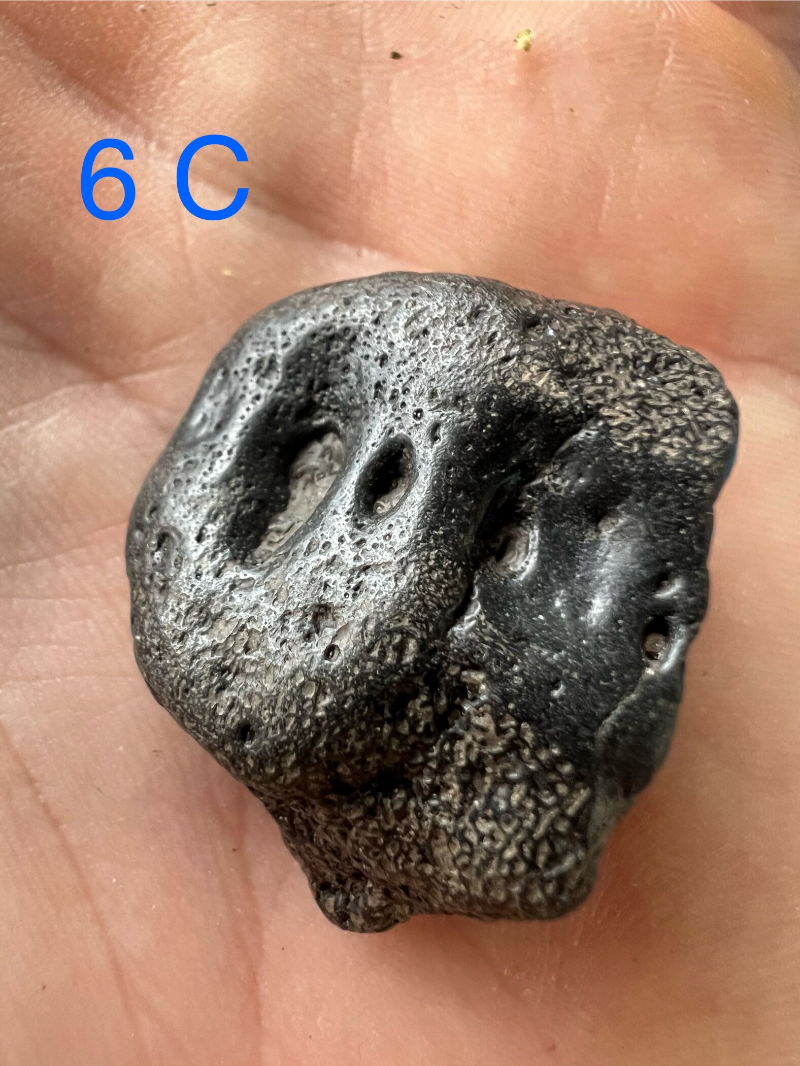 Bone Experts Needed!! Peace River Nubs for ID (06/24) - Fossil ID - The ...