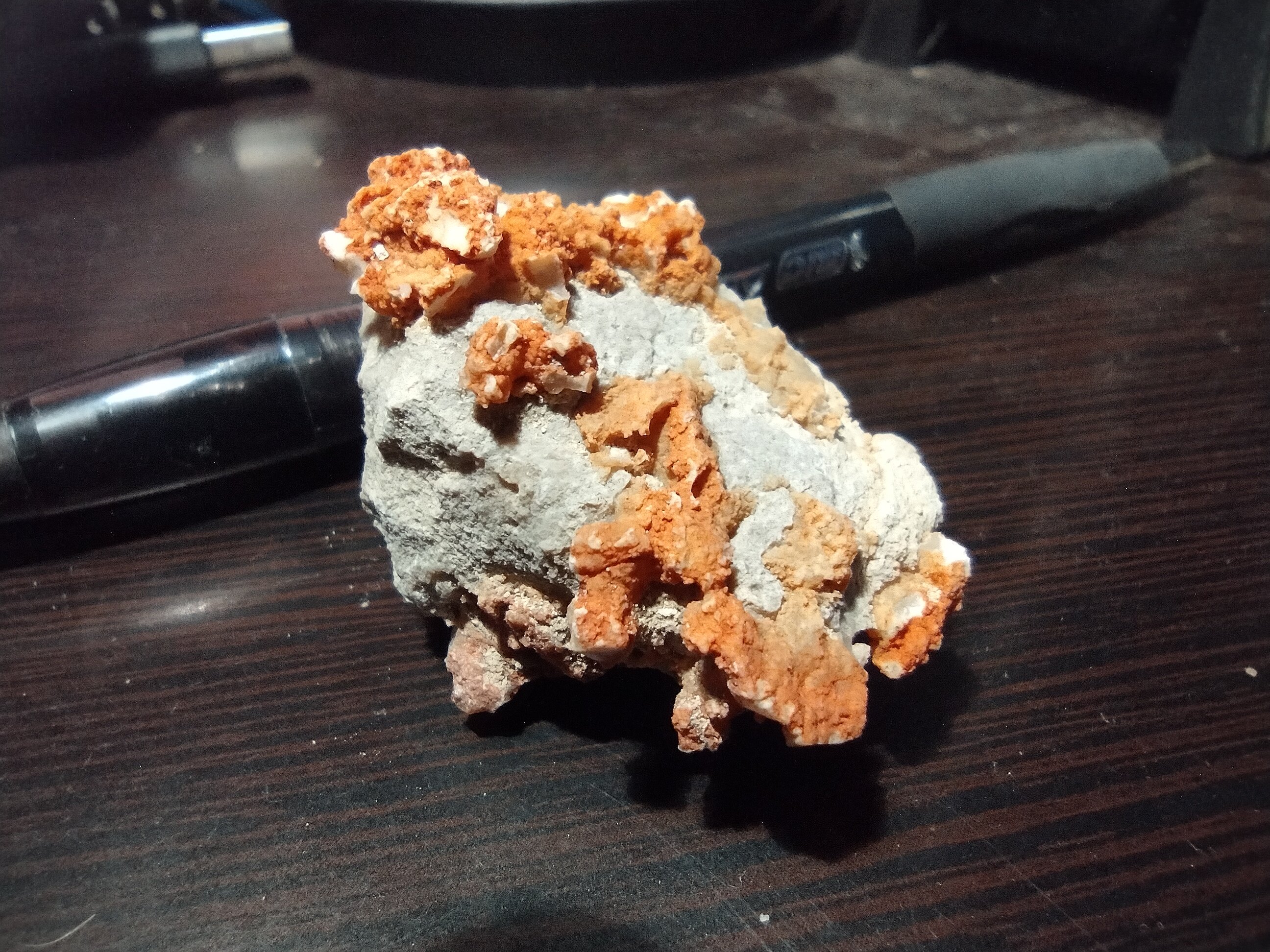 Fossil coral? Permian reef, Big Bend Ranch - Rocks & Minerals - The ...