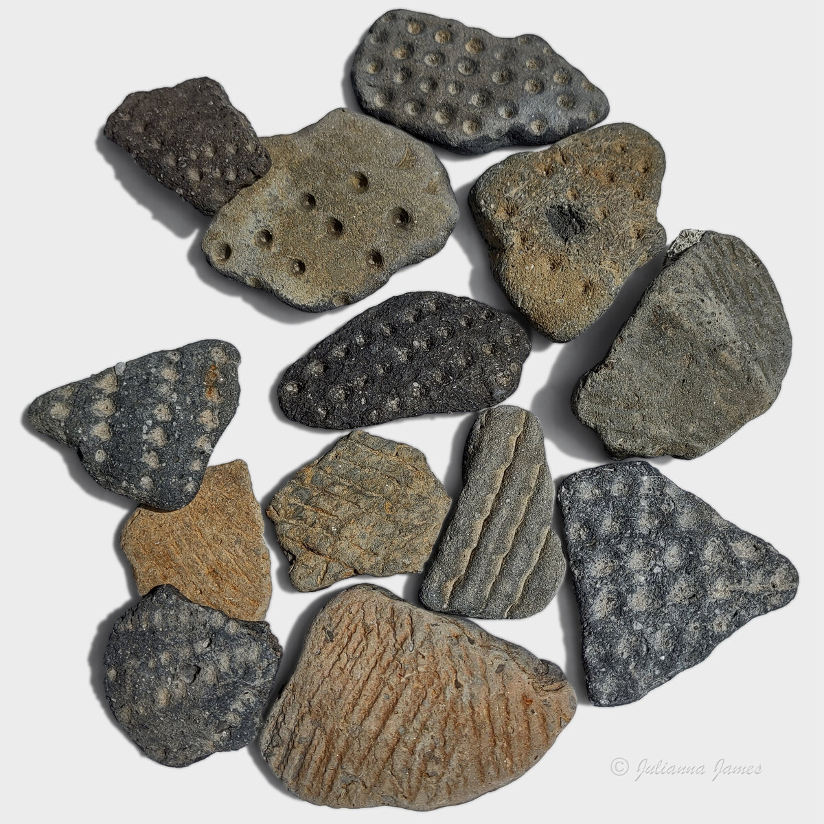 Native American pottery sherds.jpg - Member Collections - The Fossil Forum