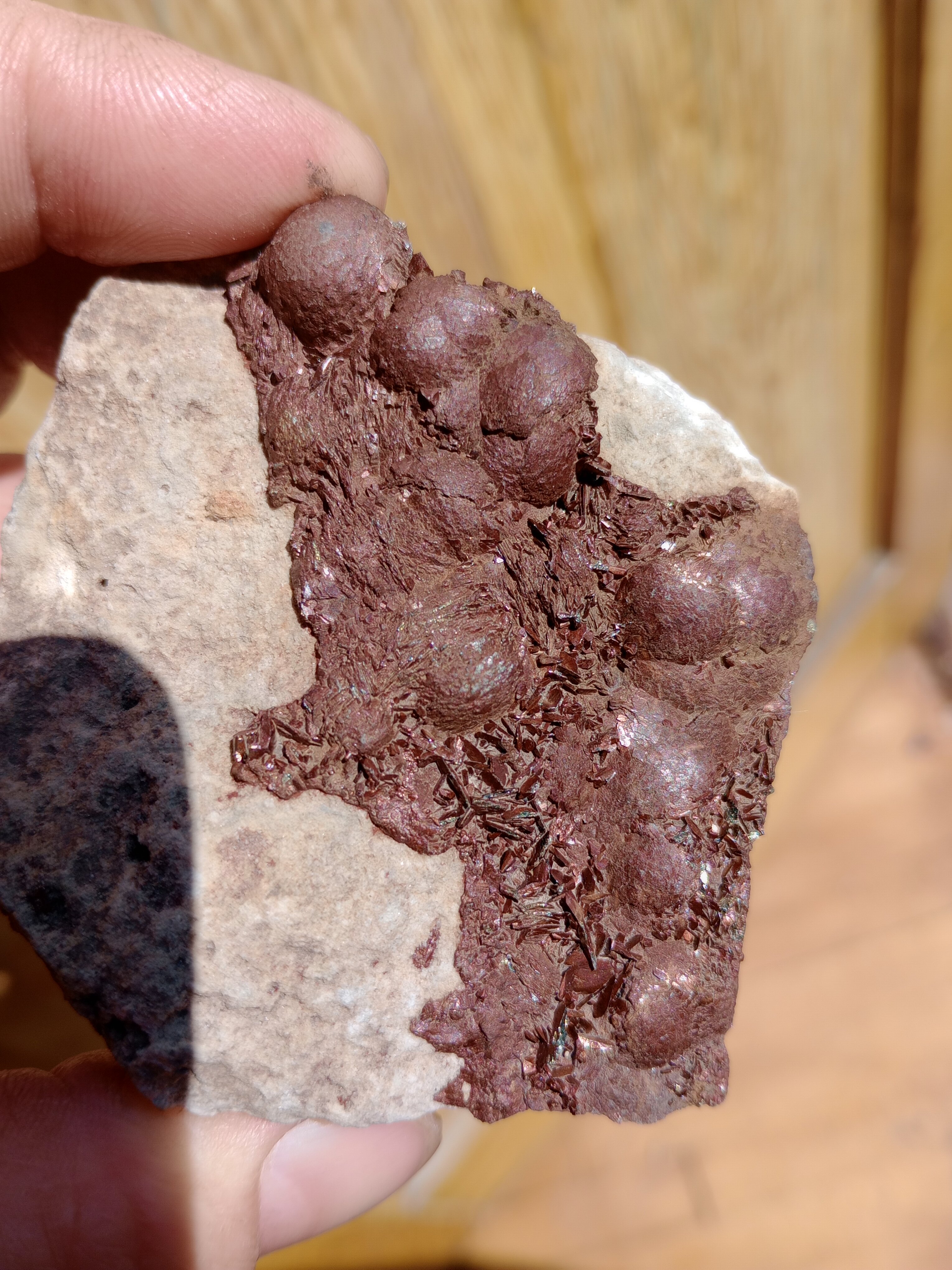Fossil ? Copper weirdness? Alien? - Fossil ID - The Fossil Forum