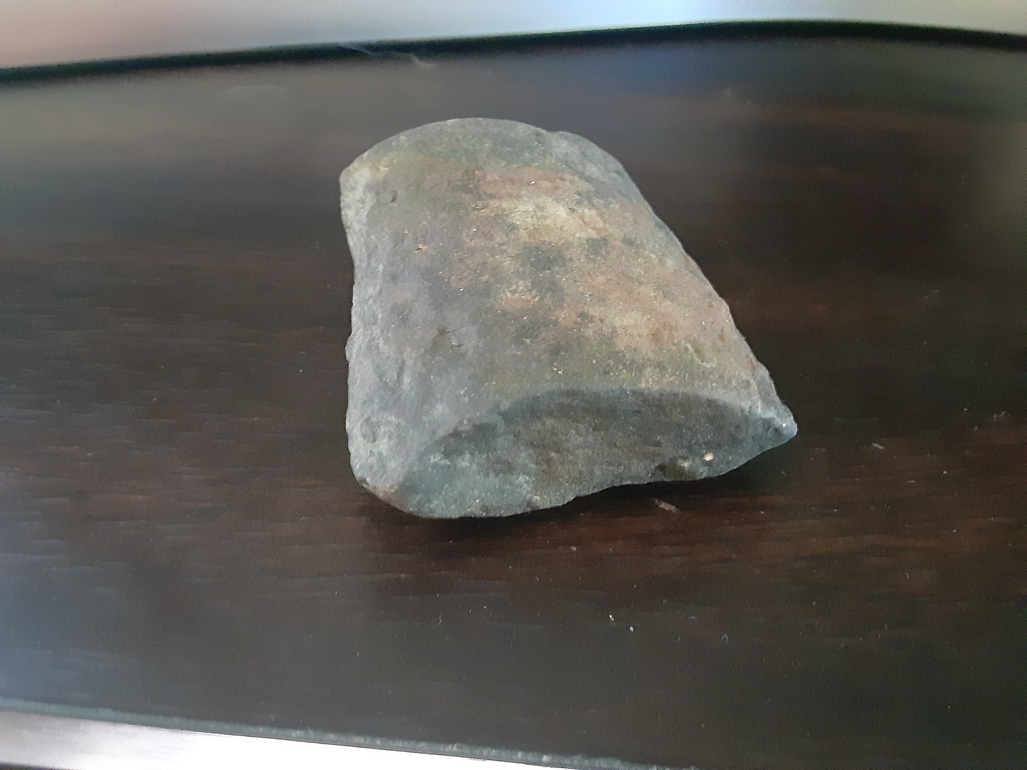 Stigmaria - Fossil ID - The Fossil Forum