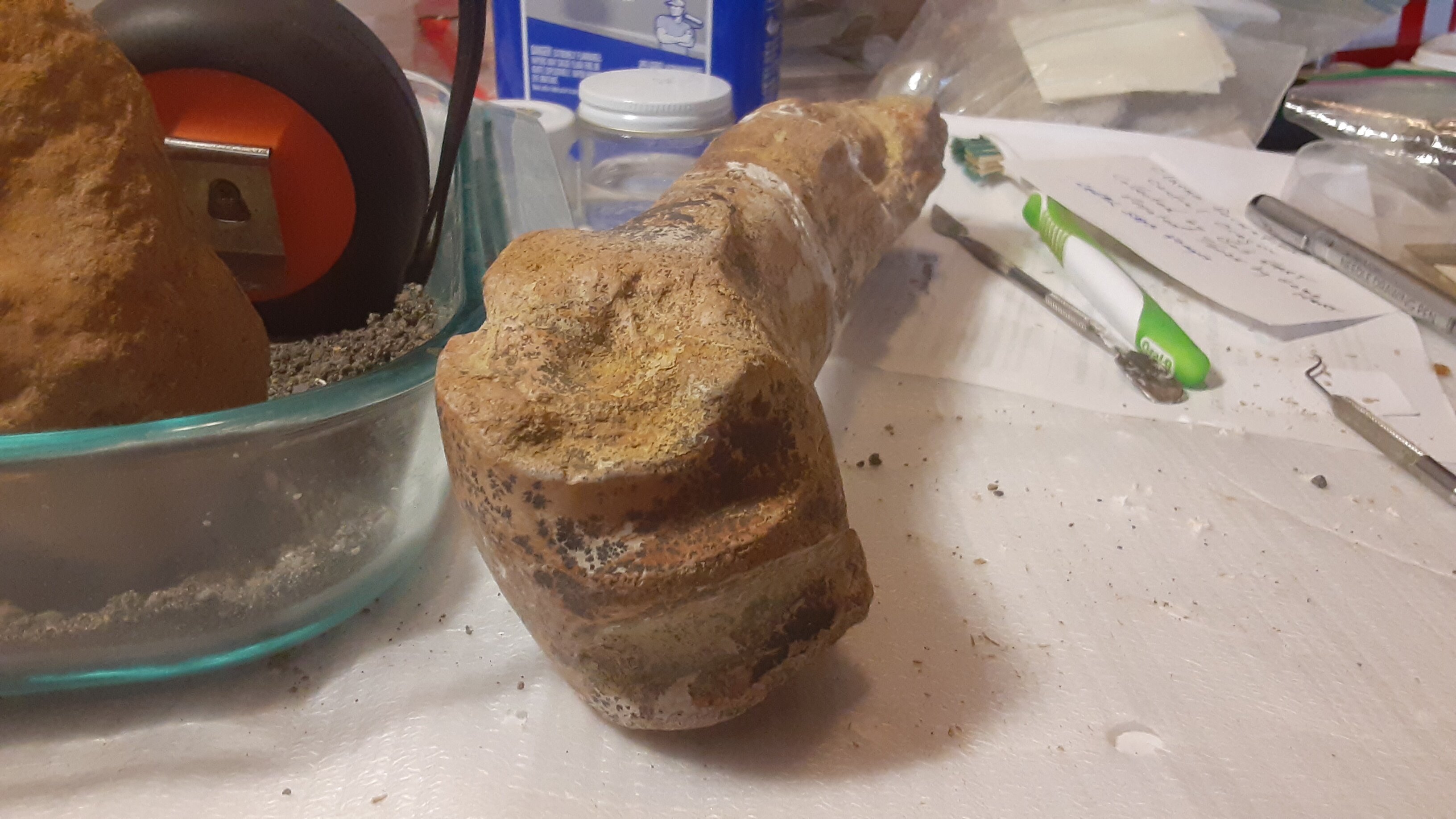 large eocene mammal bones - Fossil ID - The Fossil Forum