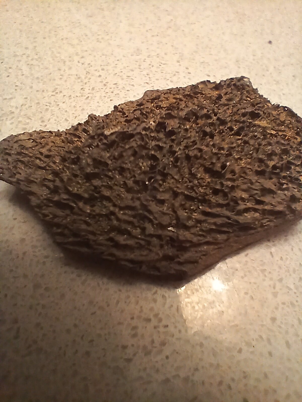 Bone shard from Big Brook, NJ - Fossil ID - The Fossil Forum