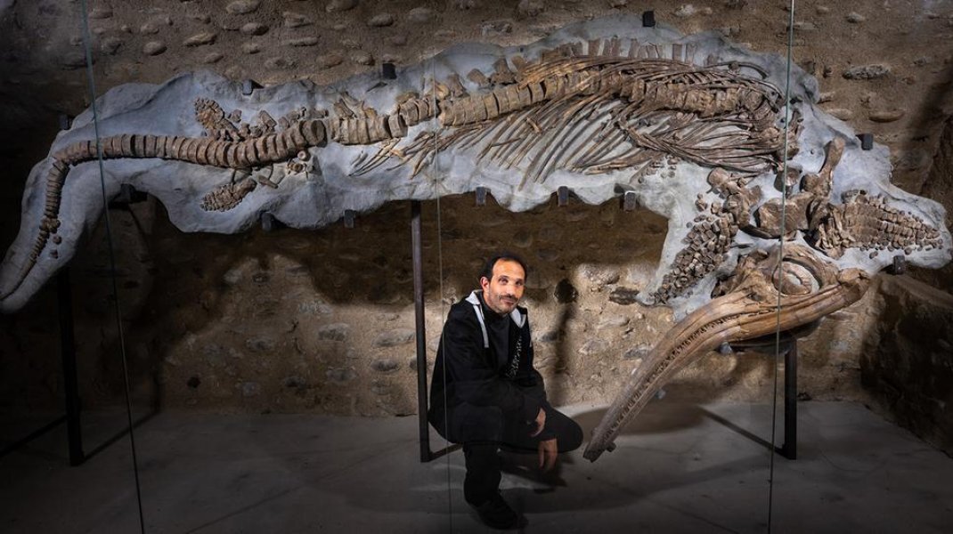 A nearly complete theropod from the Valanginian of France and other ...