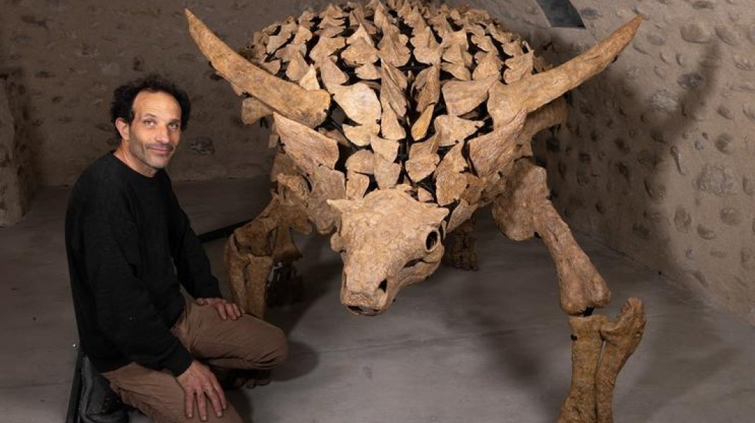 A nearly complete theropod from the Valanginian of France and other ...