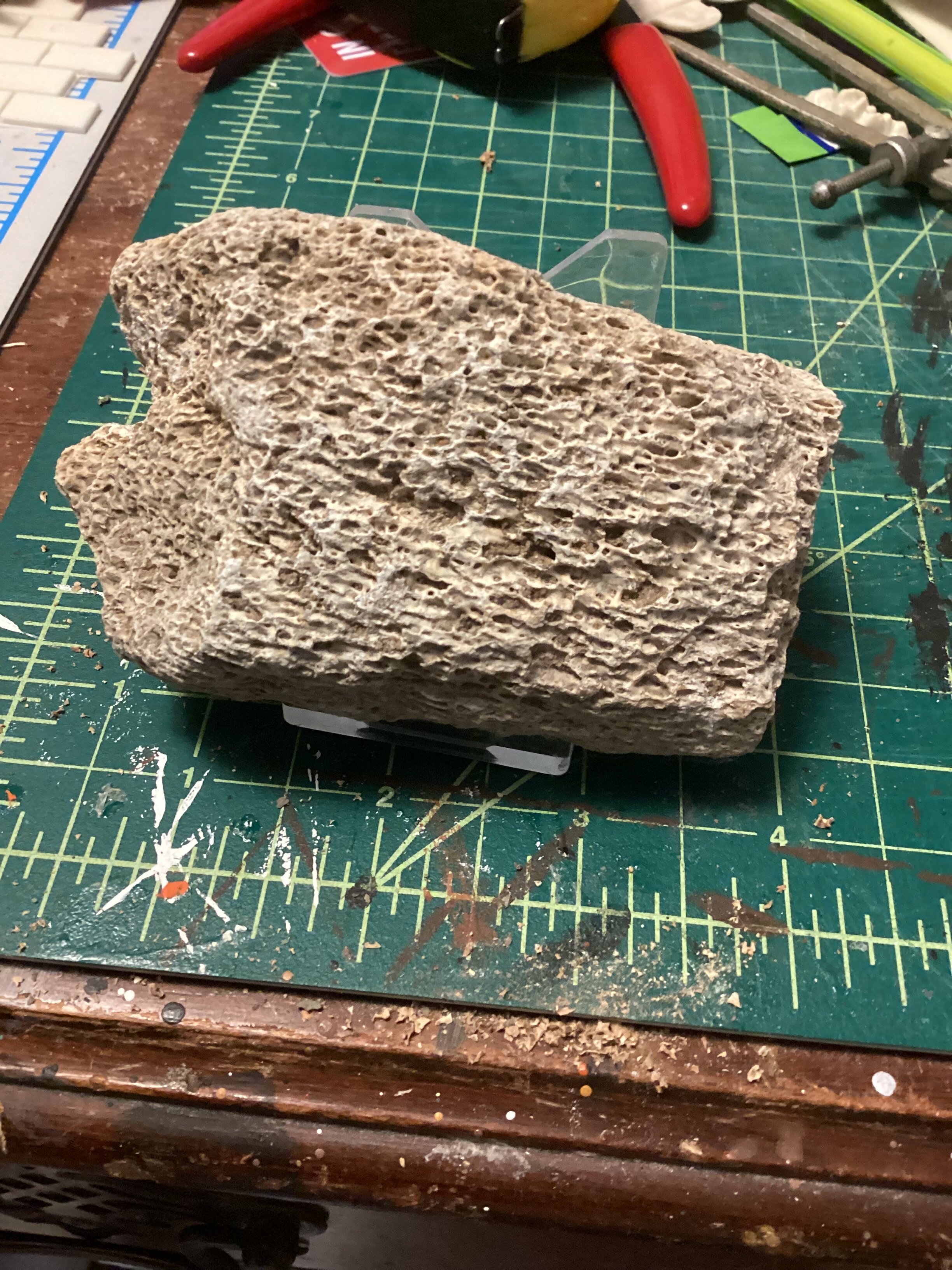 Articulating joint? - Fossil ID - The Fossil Forum