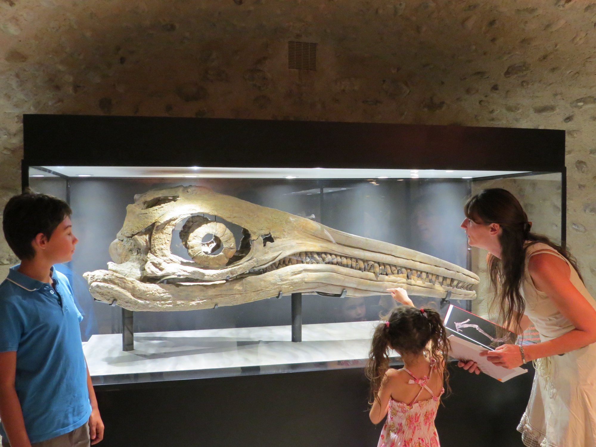 A nearly complete theropod from the Valanginian of France and other ...