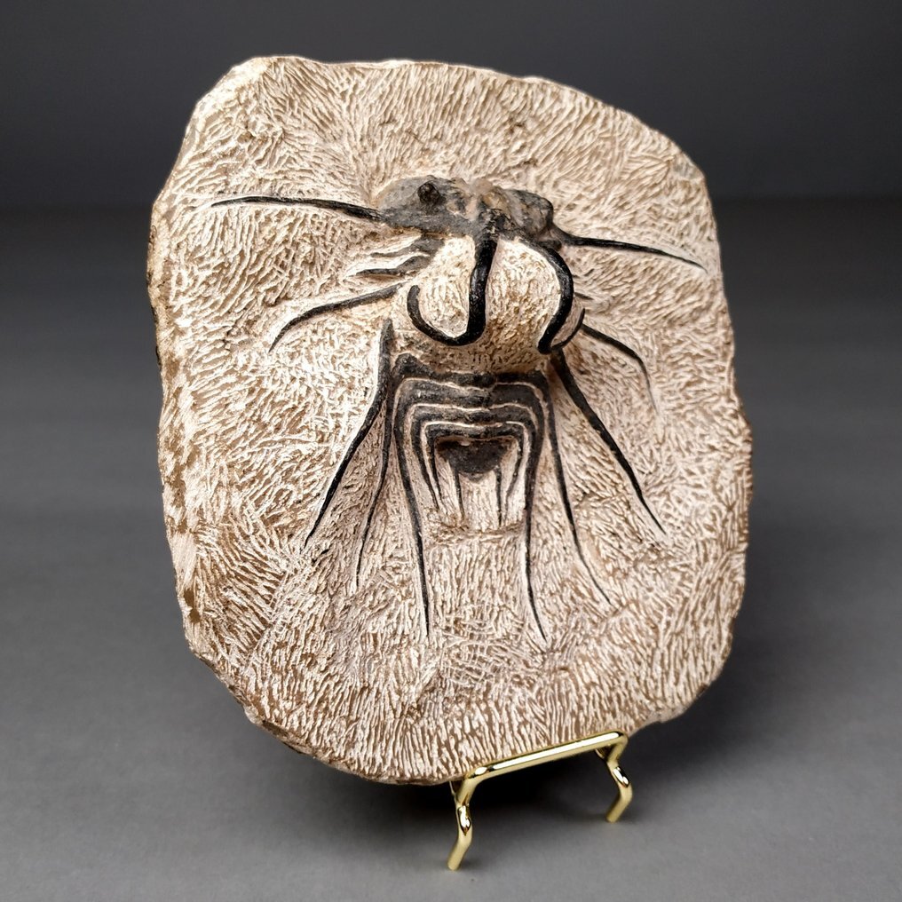 Very very bad fake fossils that make you smile... - Is It Real? How to ...