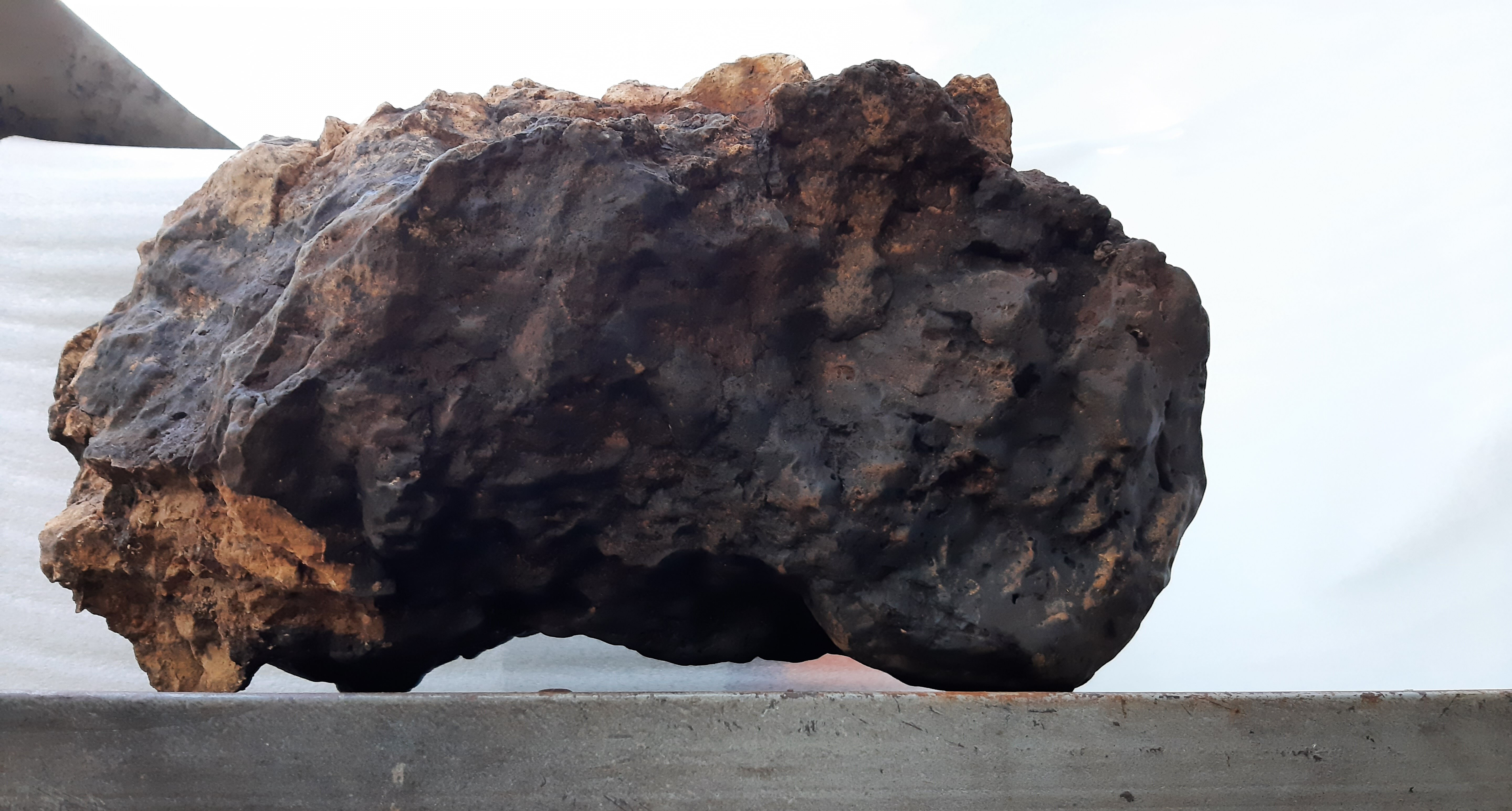 Natural Formation? - Fossil ID - The Fossil Forum