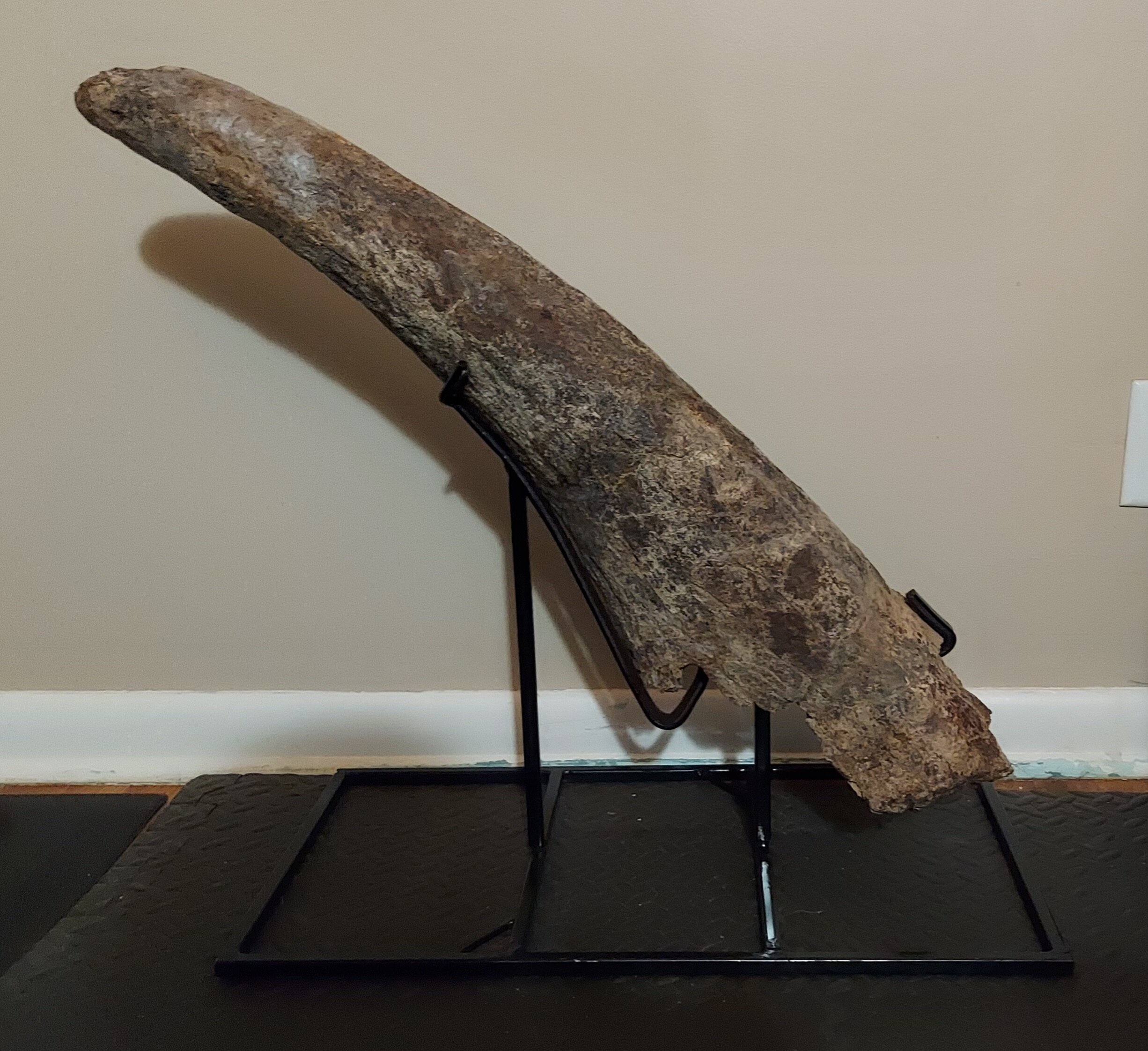 Does anyone know how to make a custom metal mount for this Theropod ...