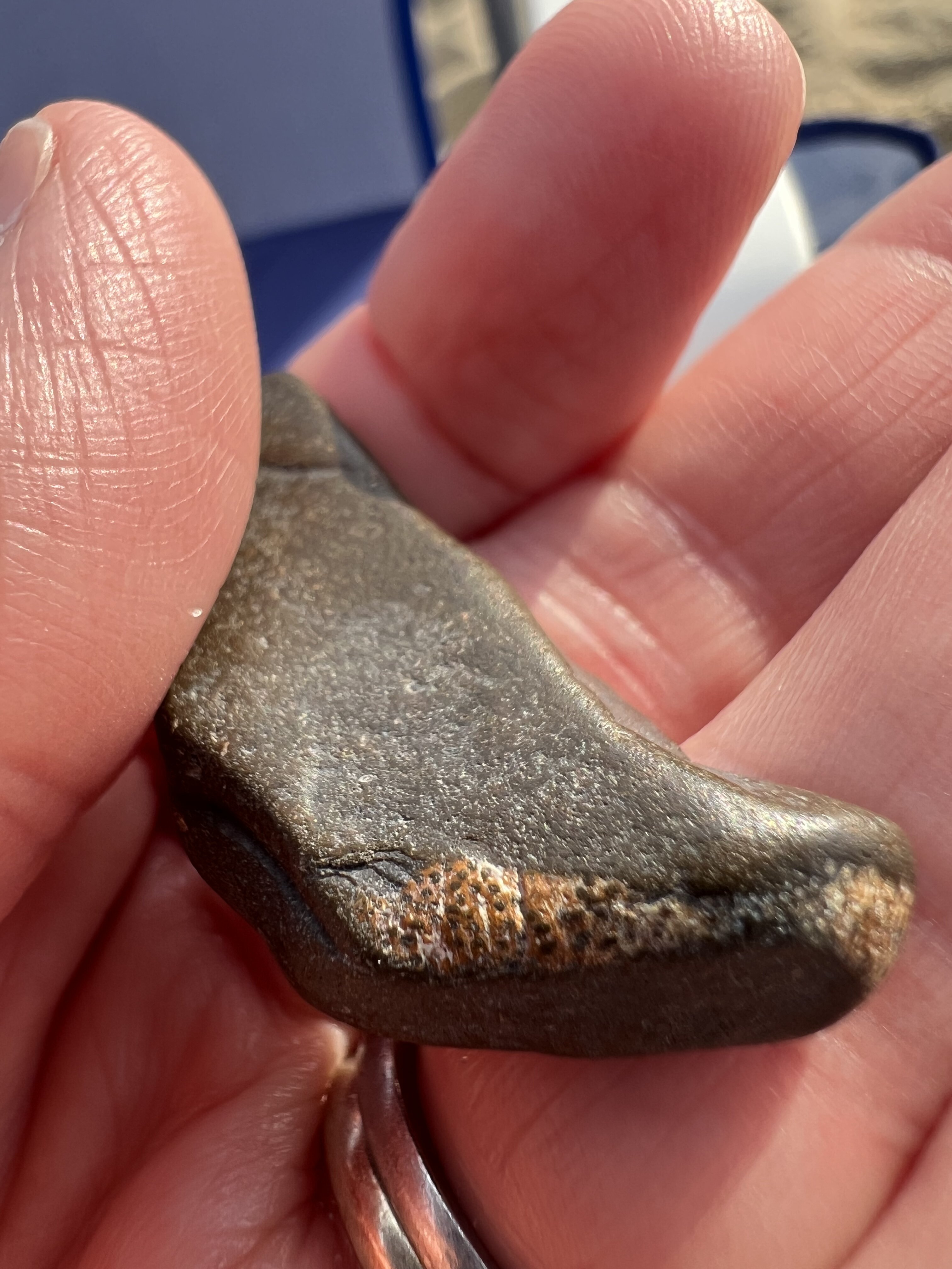 Looking for help identifying Spotted formation on smooth stone found ...