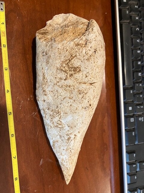 8' long tooth or claw found in Central texas - Fossil ID - The Fossil Forum
