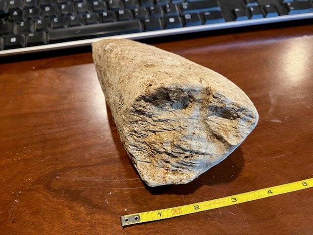 8' long tooth or claw found in Central texas - Fossil ID - The Fossil Forum