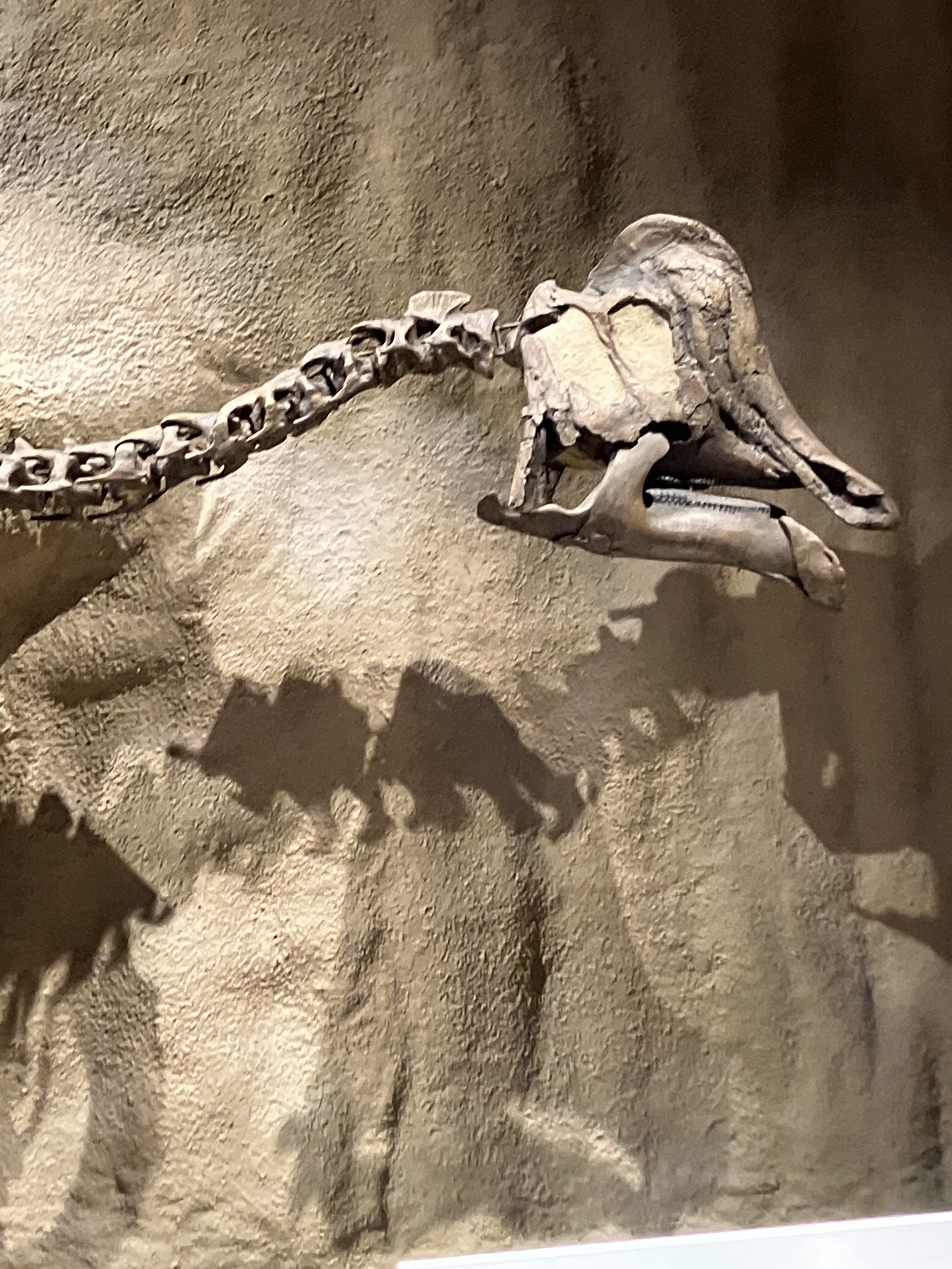 Royal Tyrrel Museum, Drumheller Formation, Alberta Canada. - A Trip to ...