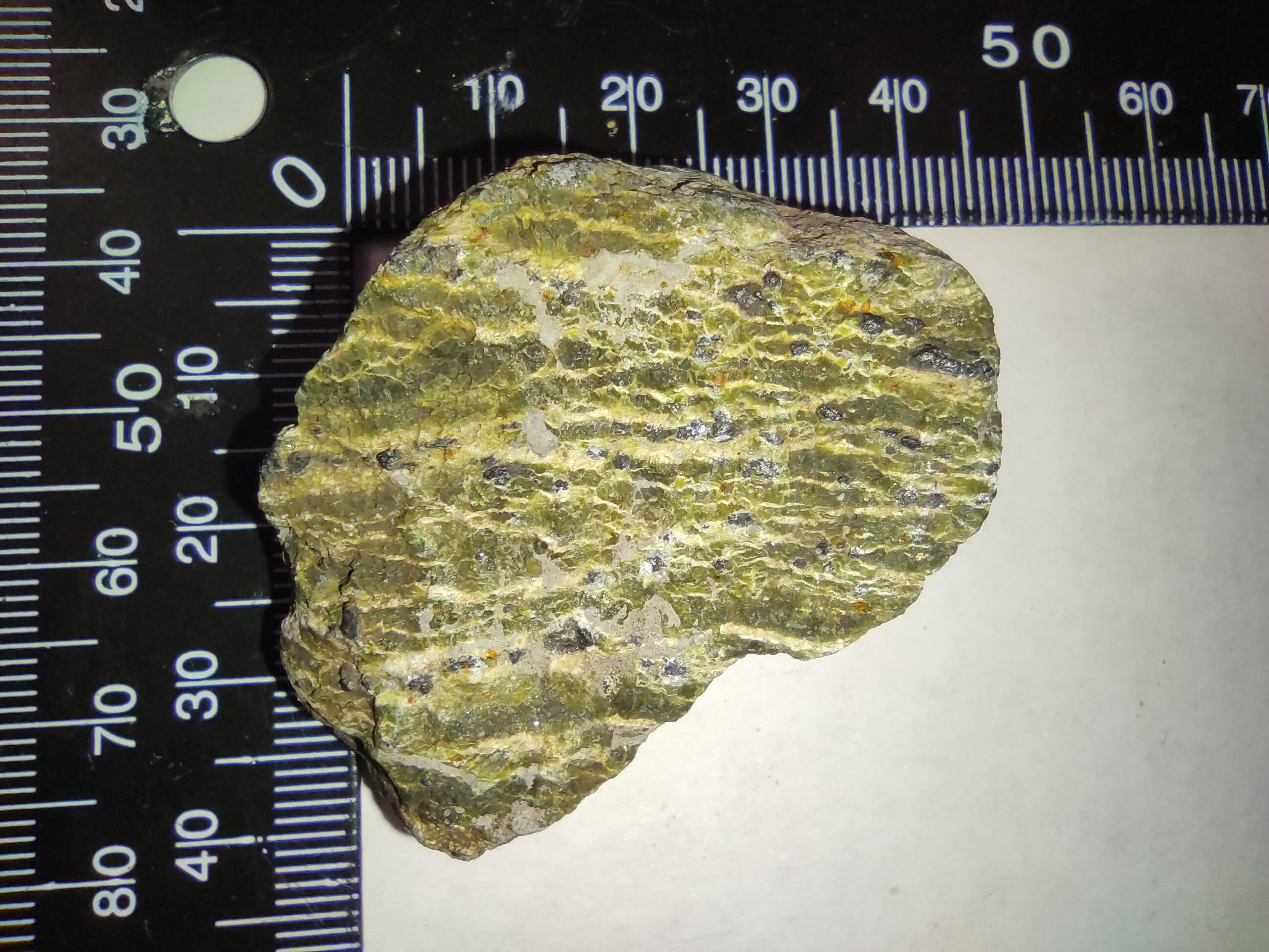 Antigorite with some chrysotile (asbestos) - Rocks & Minerals - The ...