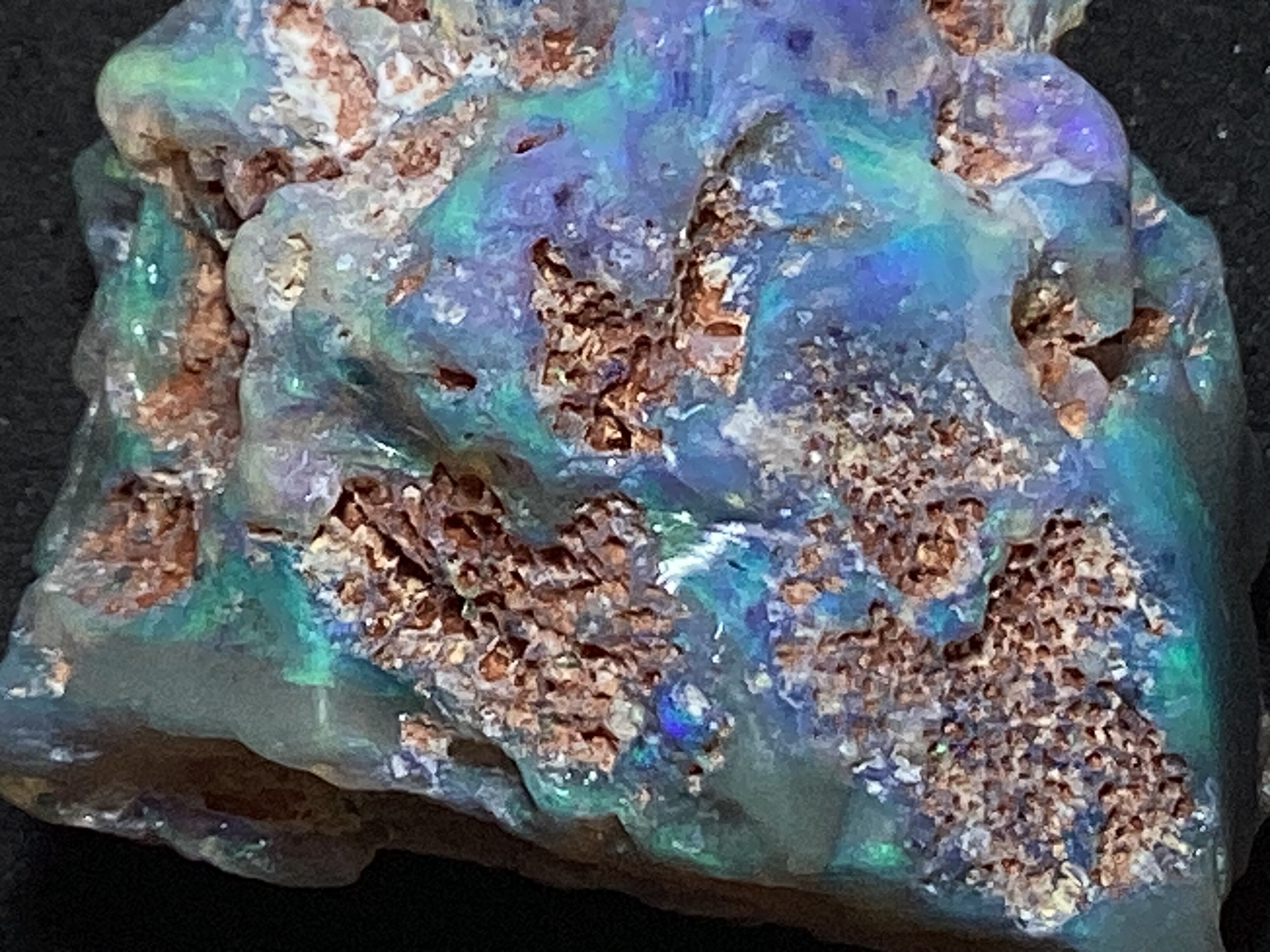 What do you think about this opal? - Fossil ID - The Fossil Forum