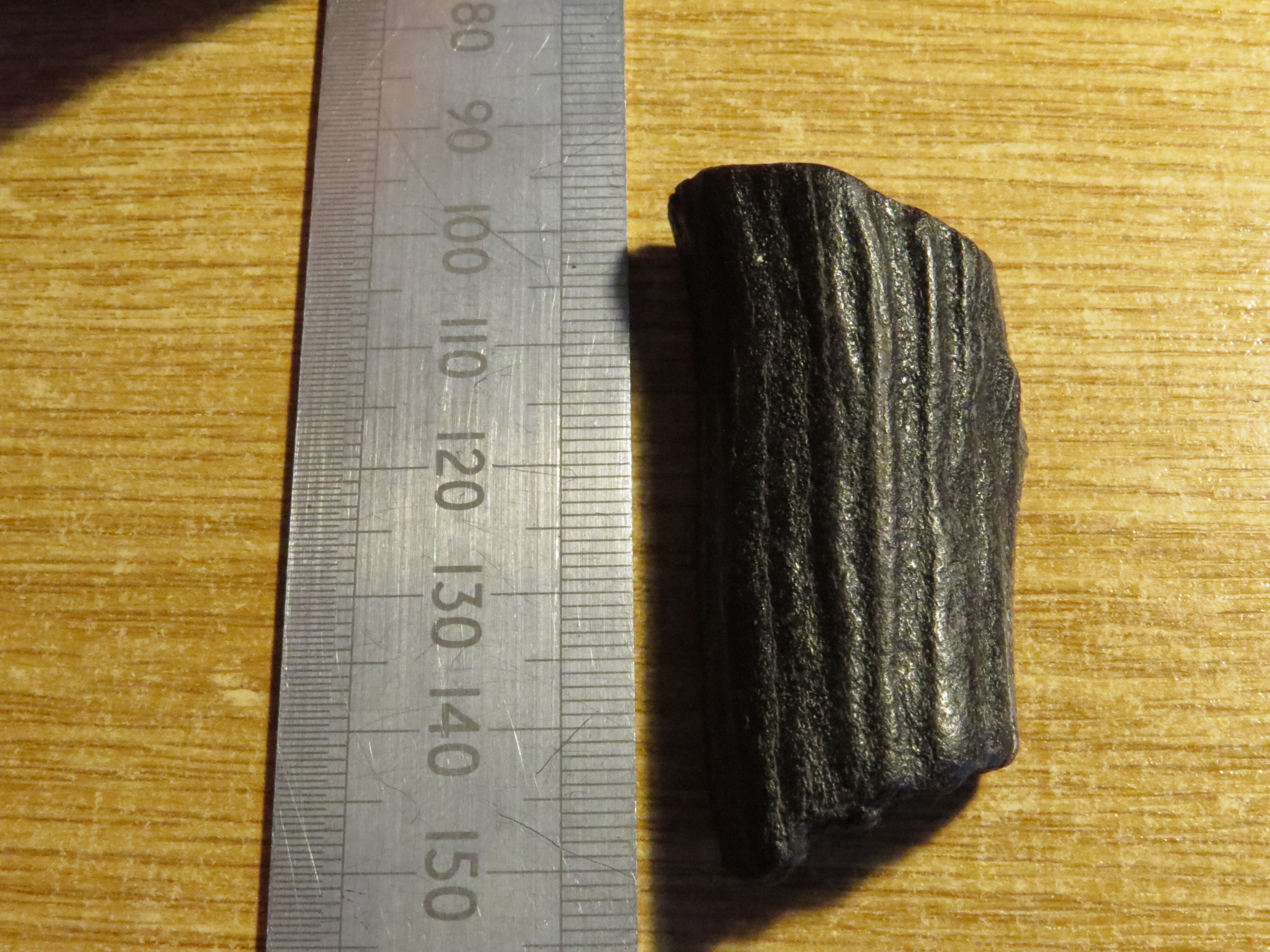 Is this a bit of antler? - Fossil ID - The Fossil Forum