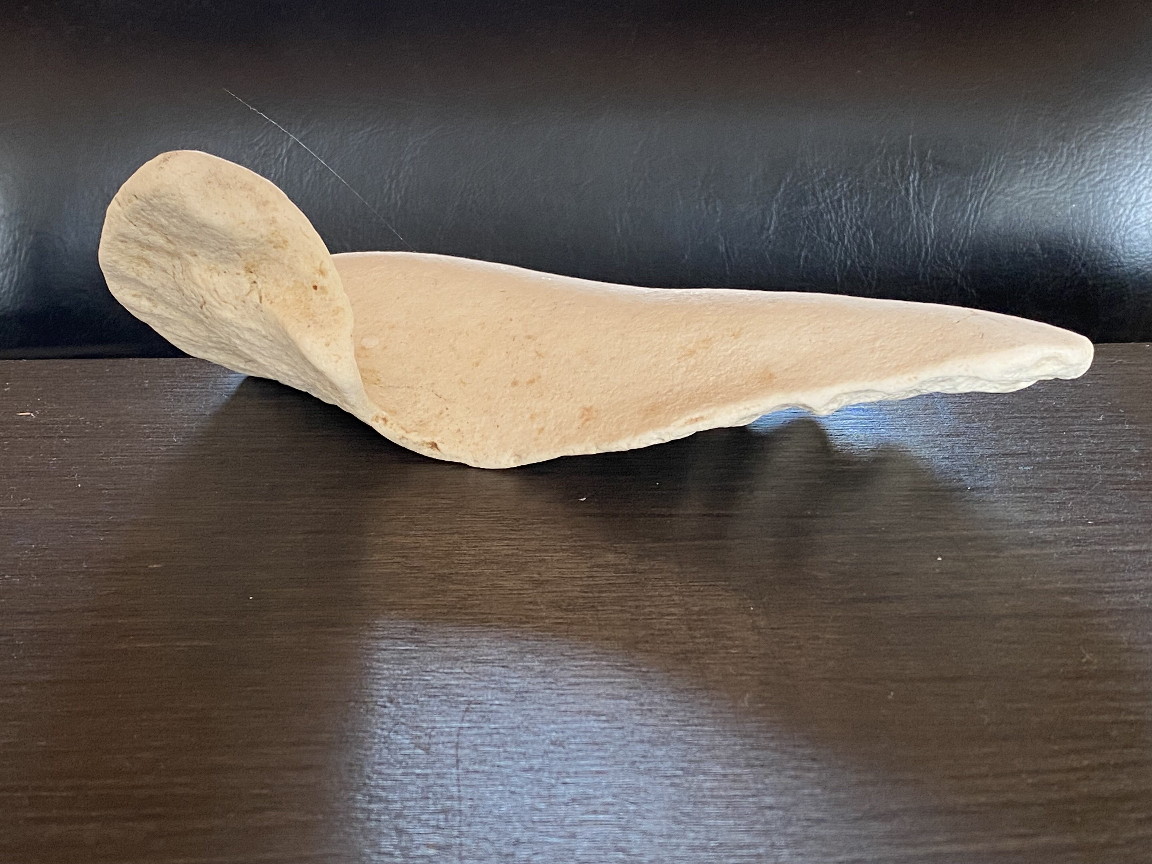 Sea turtle flipper? - Fossil ID - The Fossil Forum