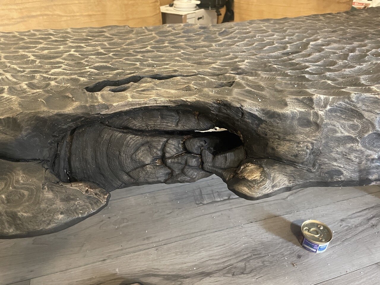 Is this a scale tree fossil that was made into a bench / coffee table ...