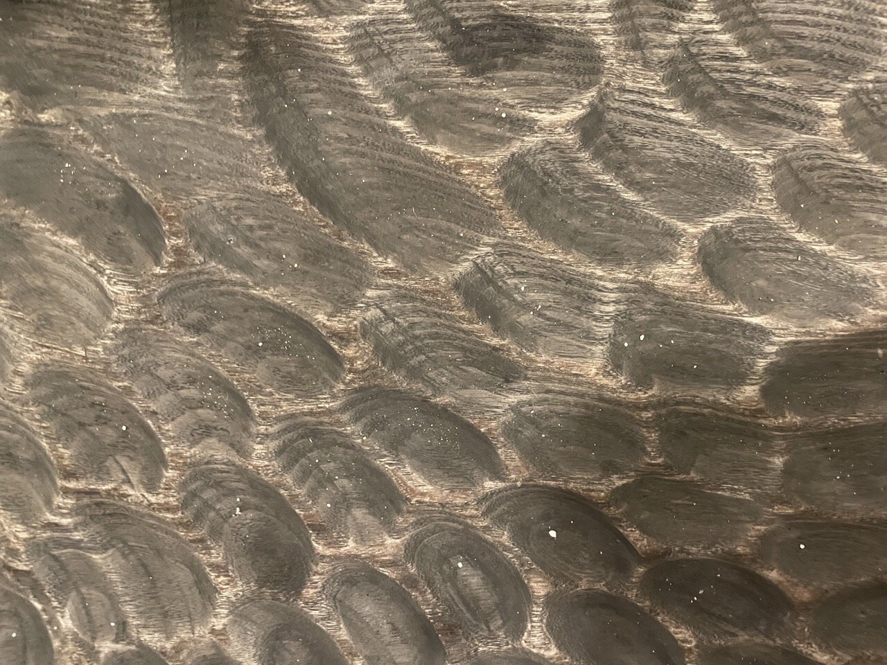 Is this a scale tree fossil that was made into a bench / coffee table ...