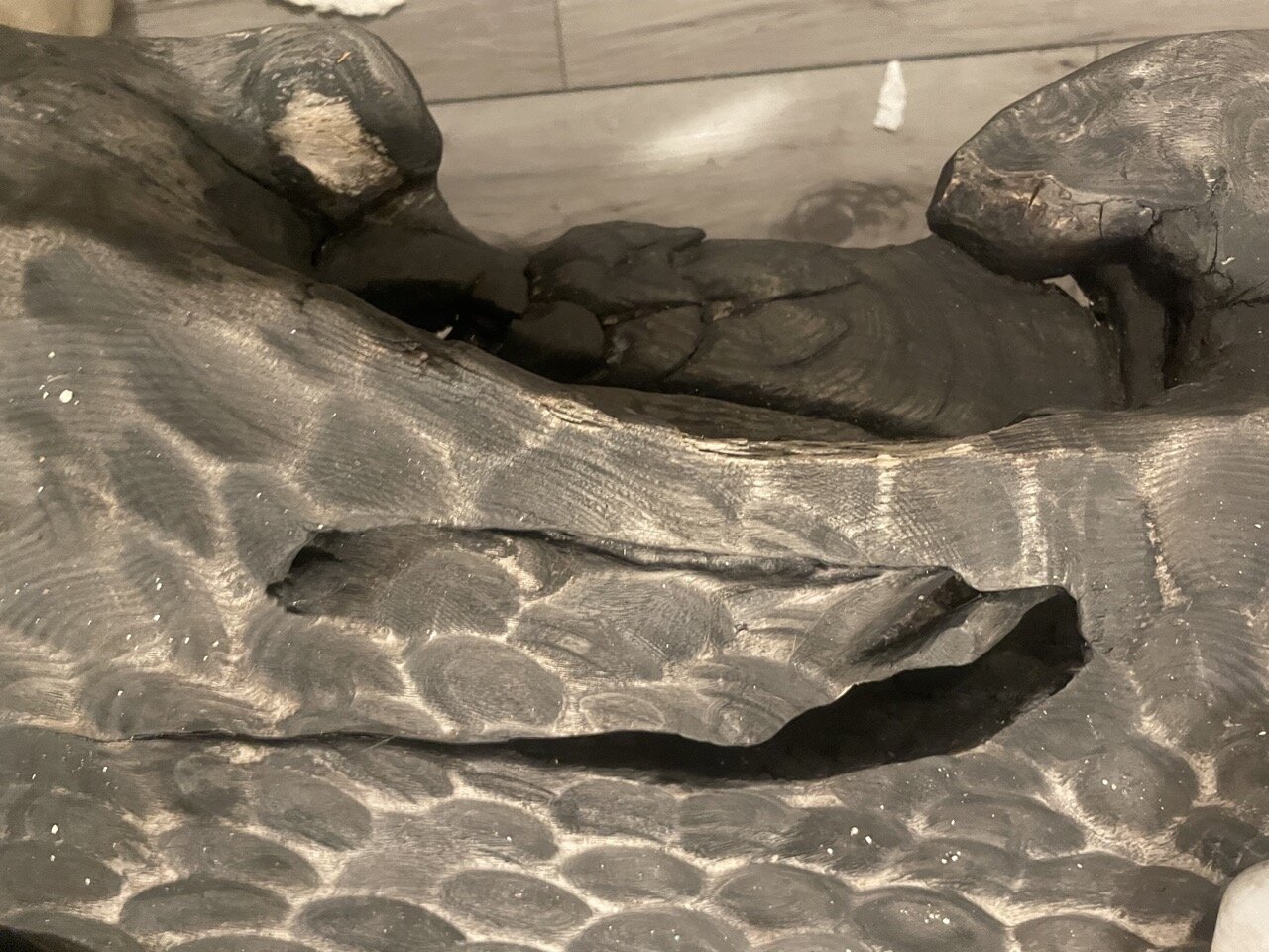 Is this a scale tree fossil that was made into a bench / coffee table ...