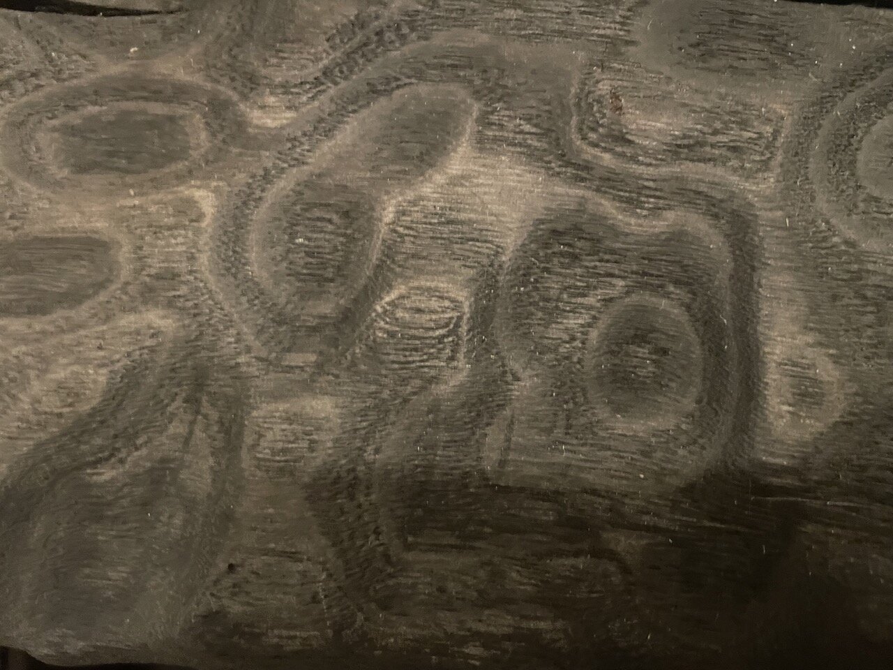 Is this a scale tree fossil that was made into a bench / coffee table ...