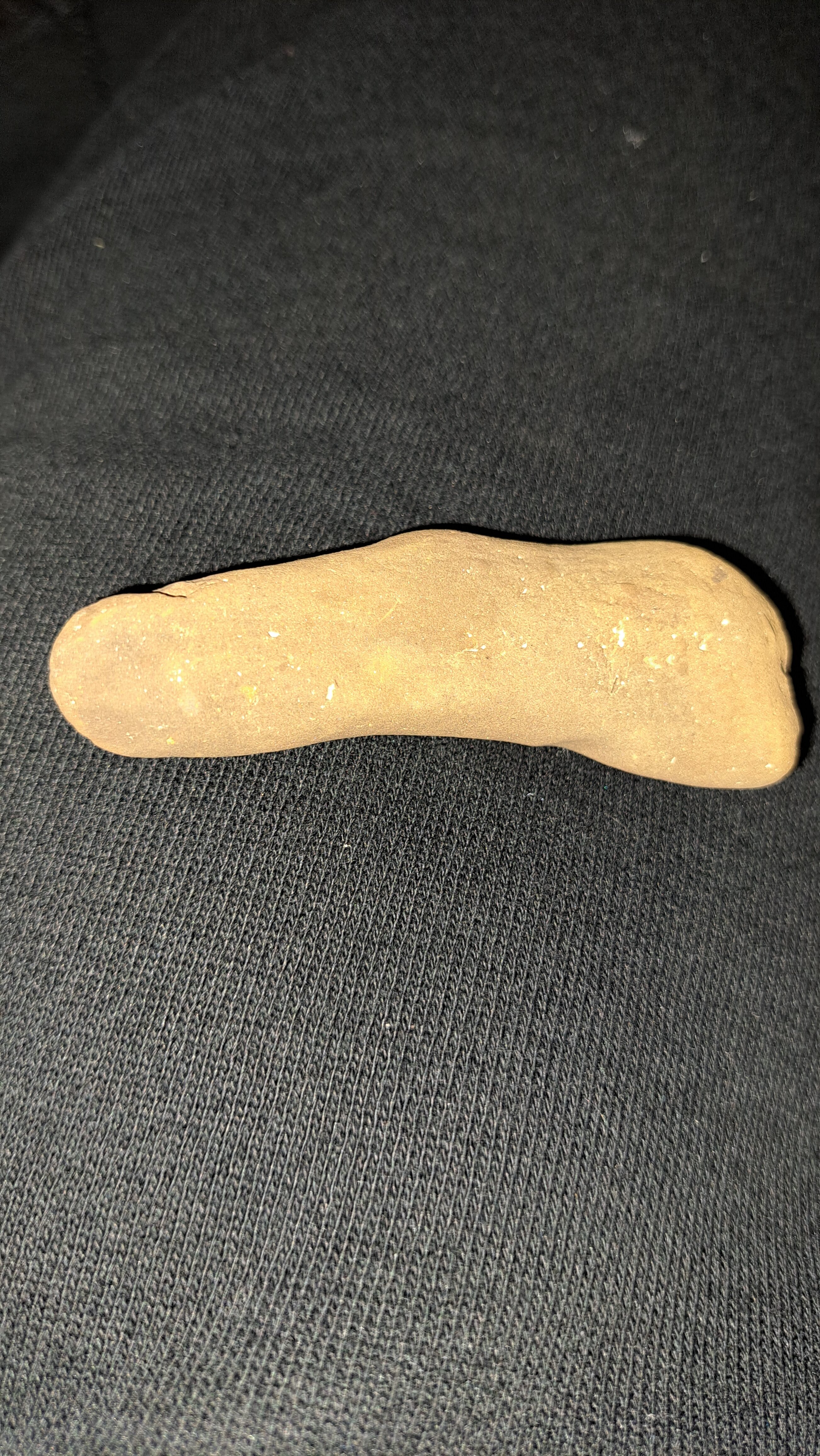Identifying find needed - Fossil ID - The Fossil Forum