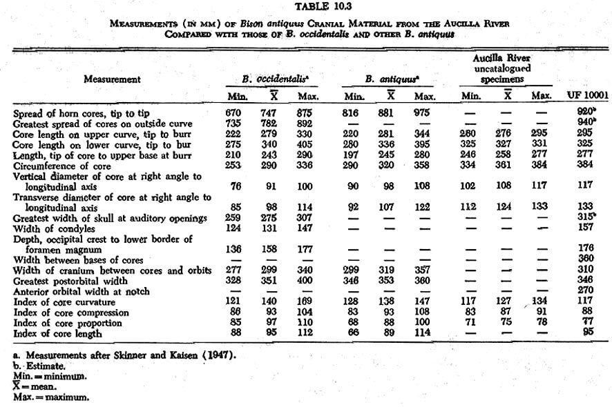 Bison skulls trying to figure how old - Fossil ID - The Fossil Forum