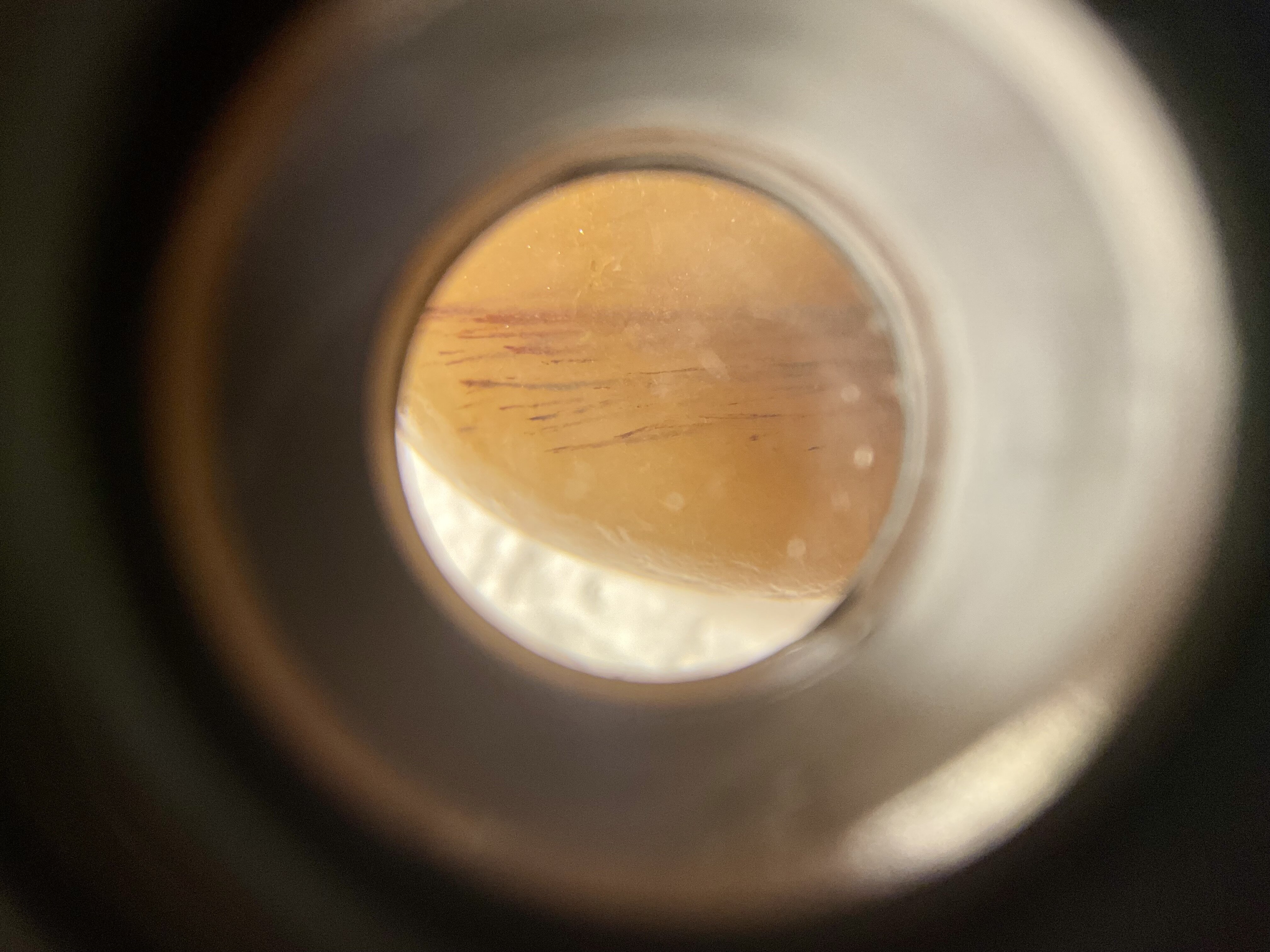 Weird hair or feather like inclusion in a see through piece of yellow ...