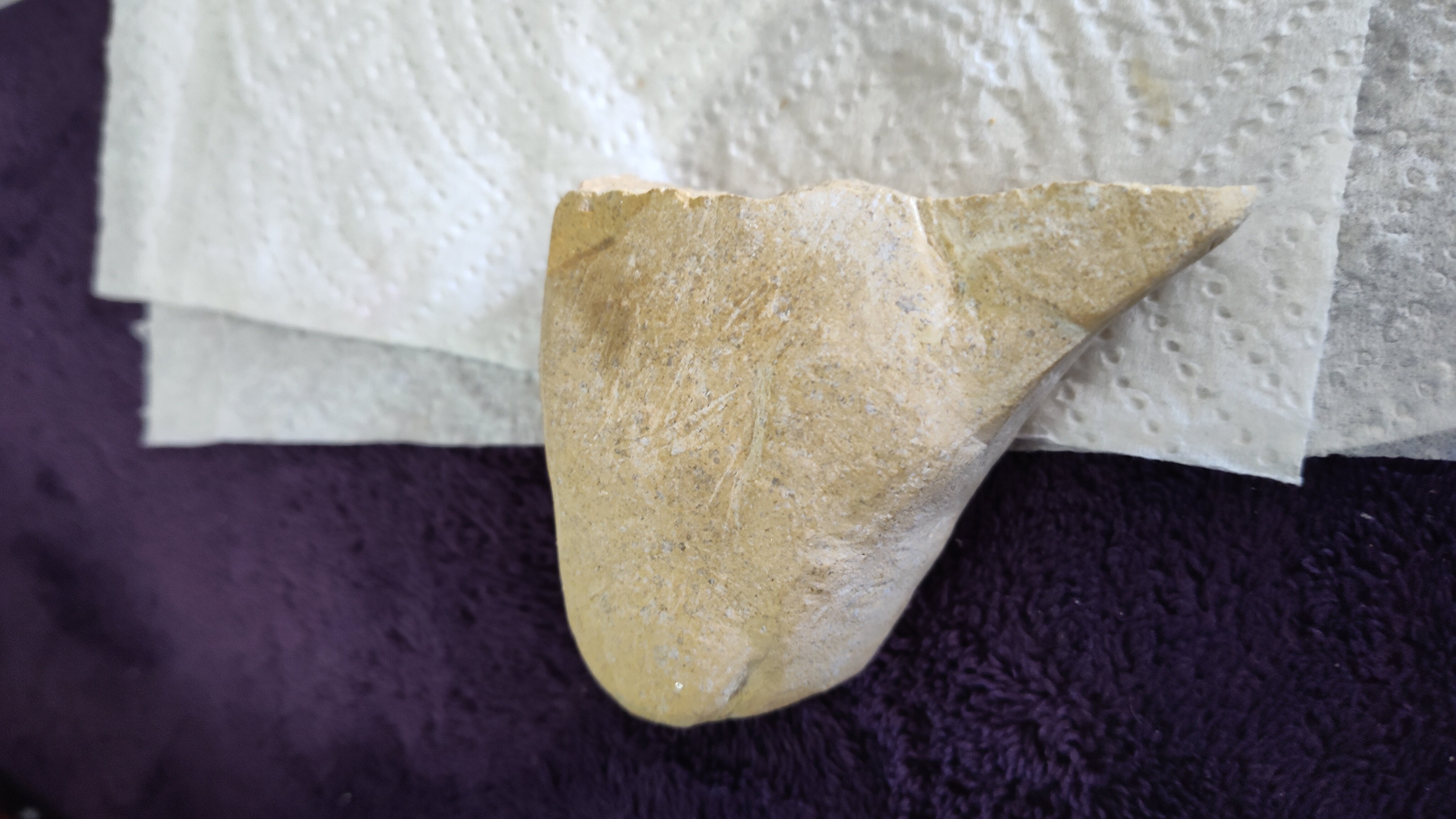 Found in Indiana - Rocks & Minerals - The Fossil Forum