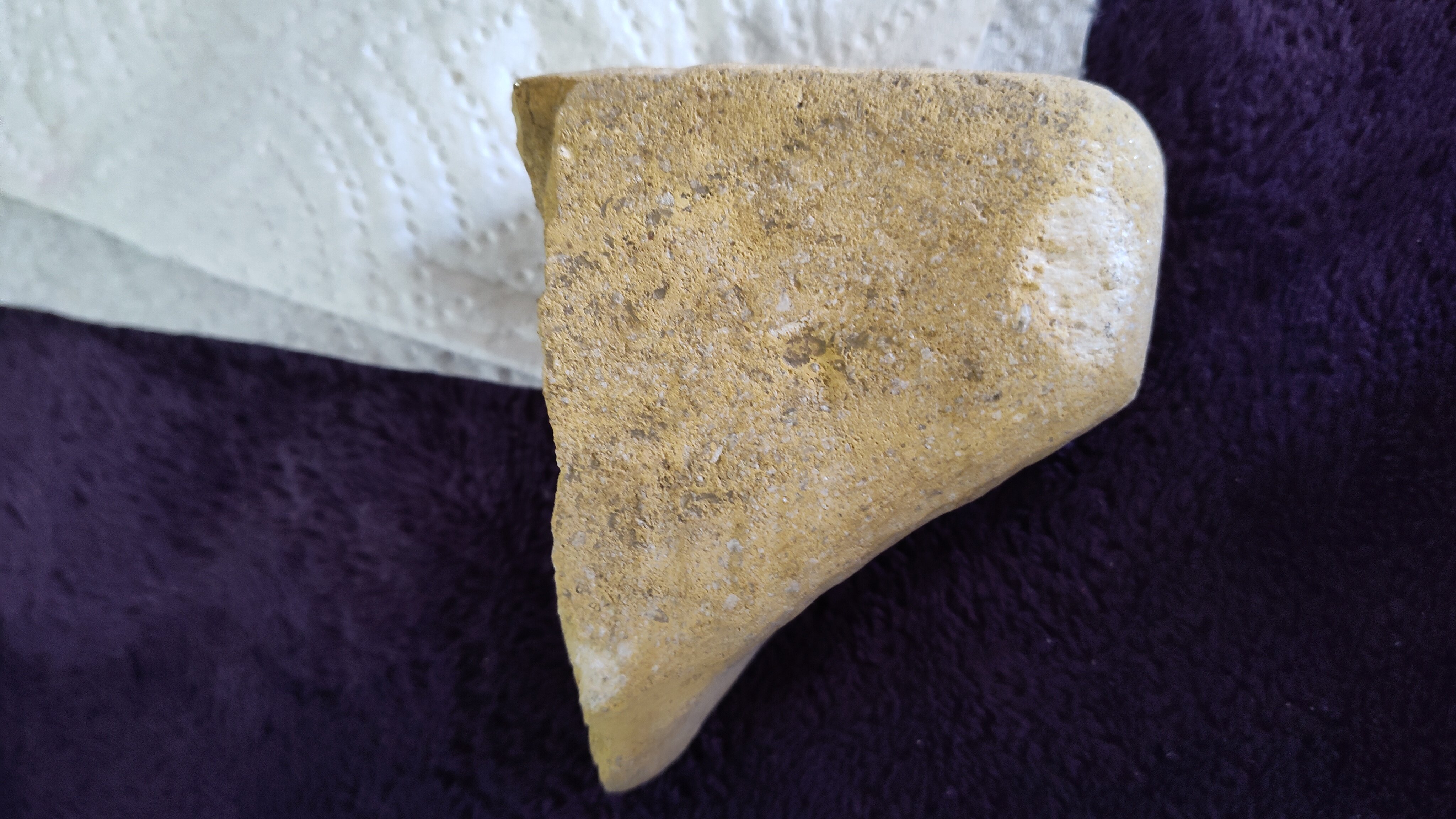 Found in Indiana - Rocks & Minerals - The Fossil Forum