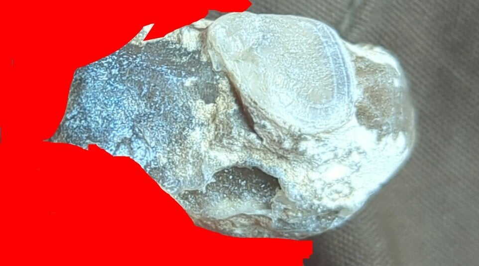 Clear translucent mineral found on beach - Rocks & Minerals - The ...