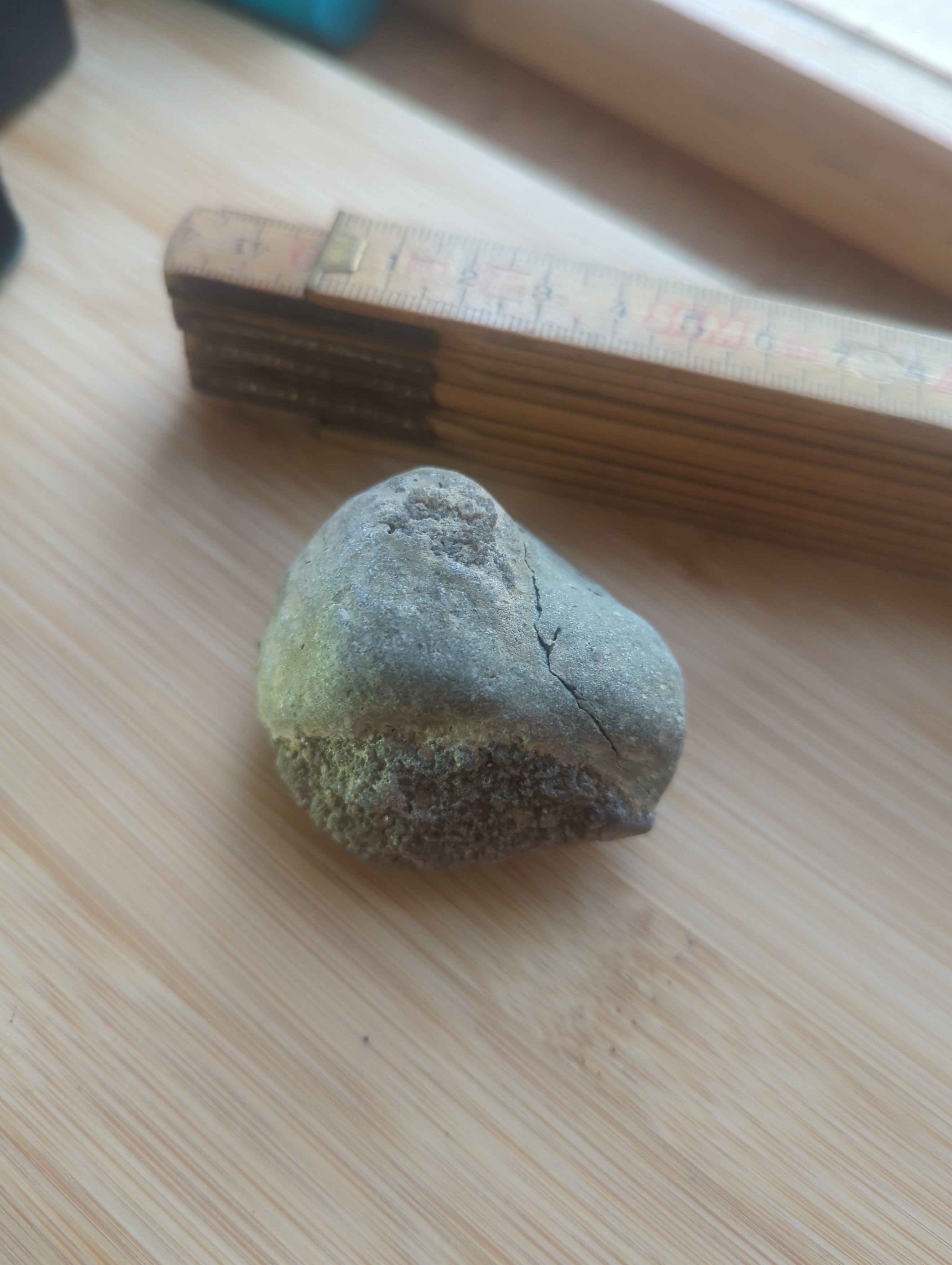 microscopic penta- or hexagonal structure in rock - Fossil ID - The ...
