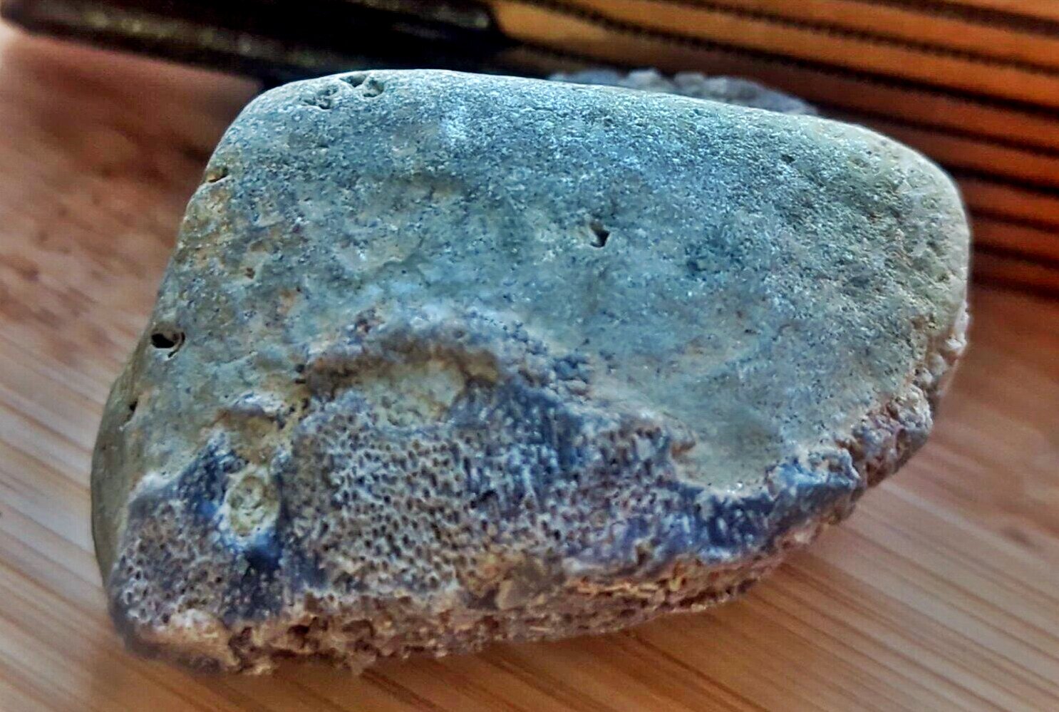 microscopic penta- or hexagonal structure in rock - Fossil ID - The ...