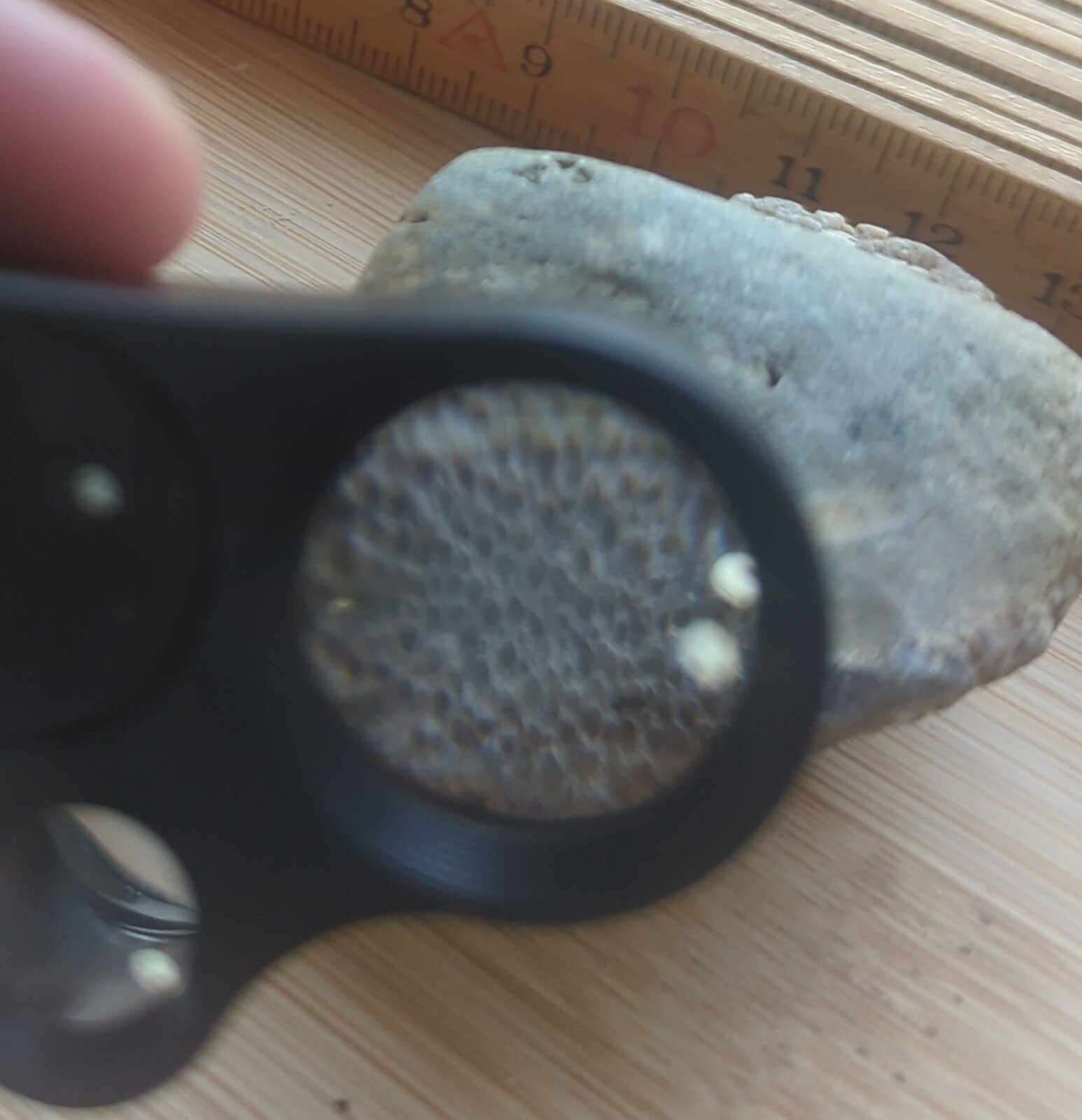 microscopic penta- or hexagonal structure in rock - Fossil ID - The ...