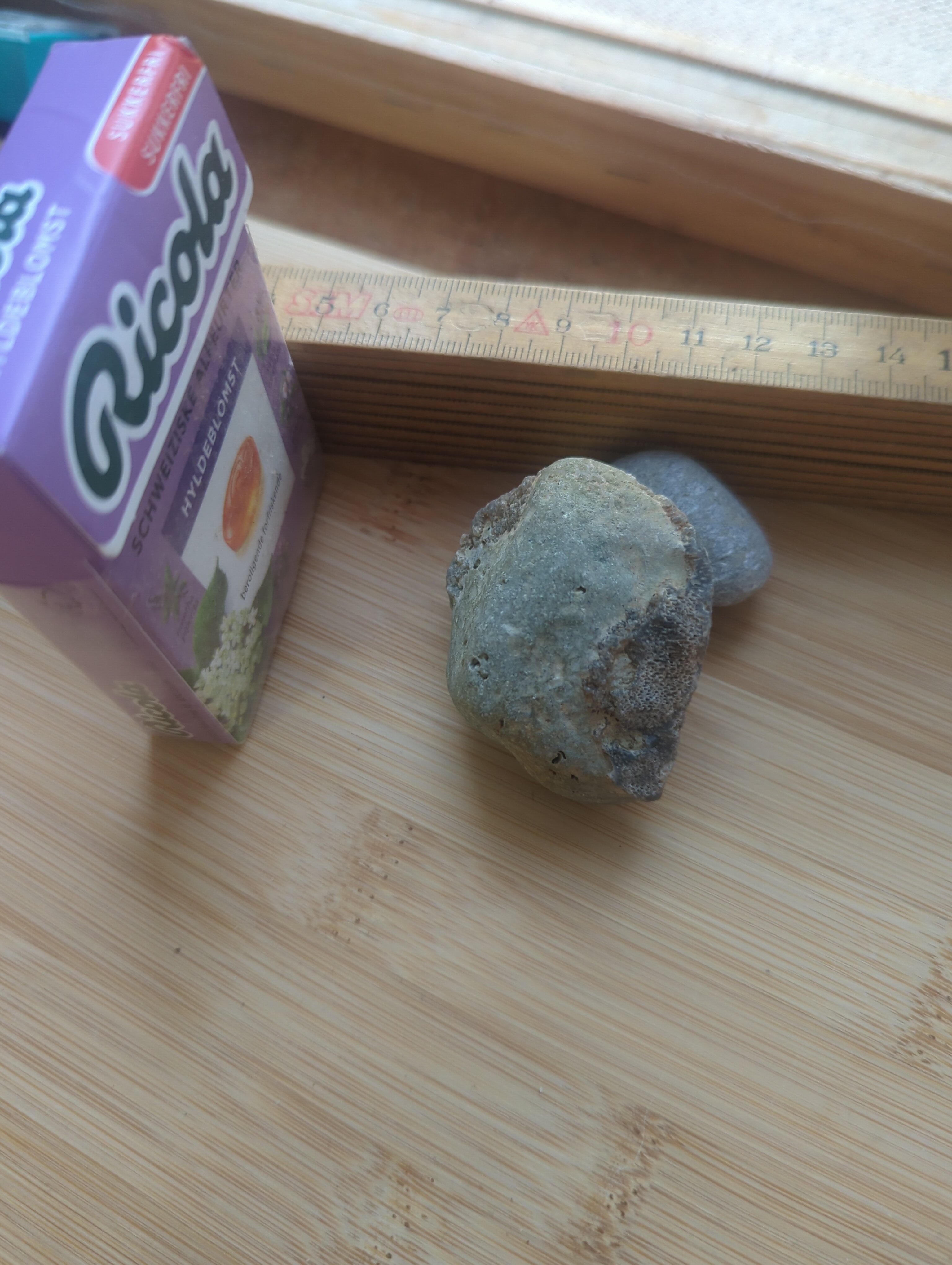 microscopic penta- or hexagonal structure in rock - Fossil ID - The ...